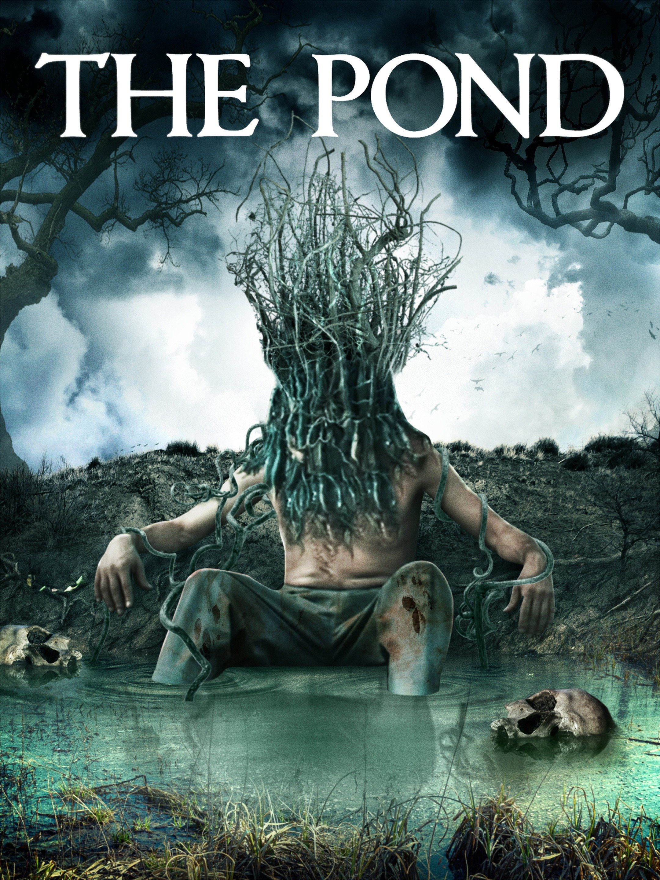The Pond - Rotten Tomatoes