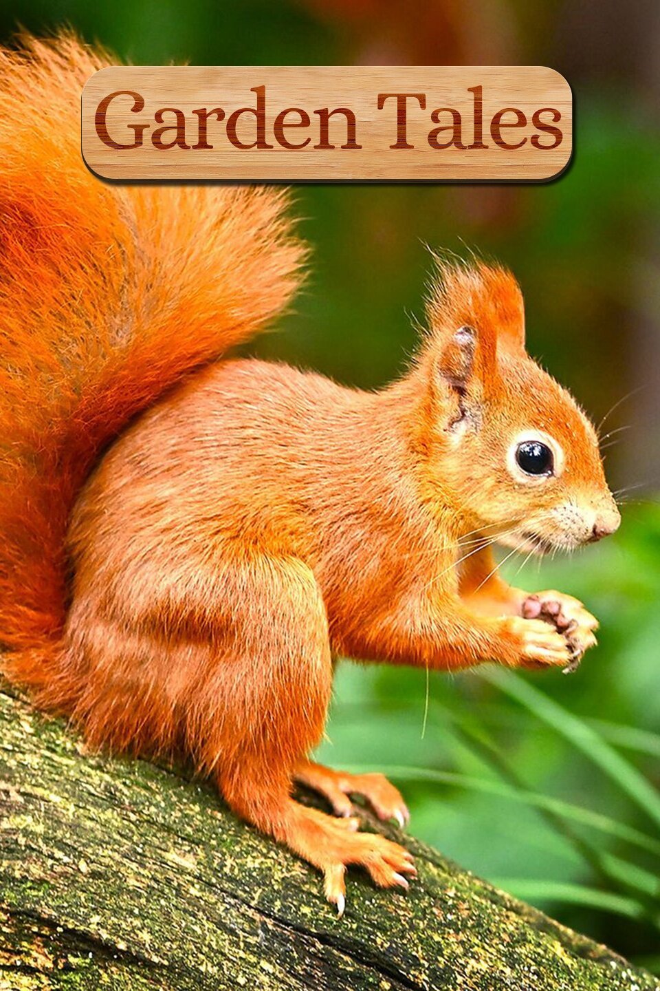 Garden Tales - Rotten Tomatoes