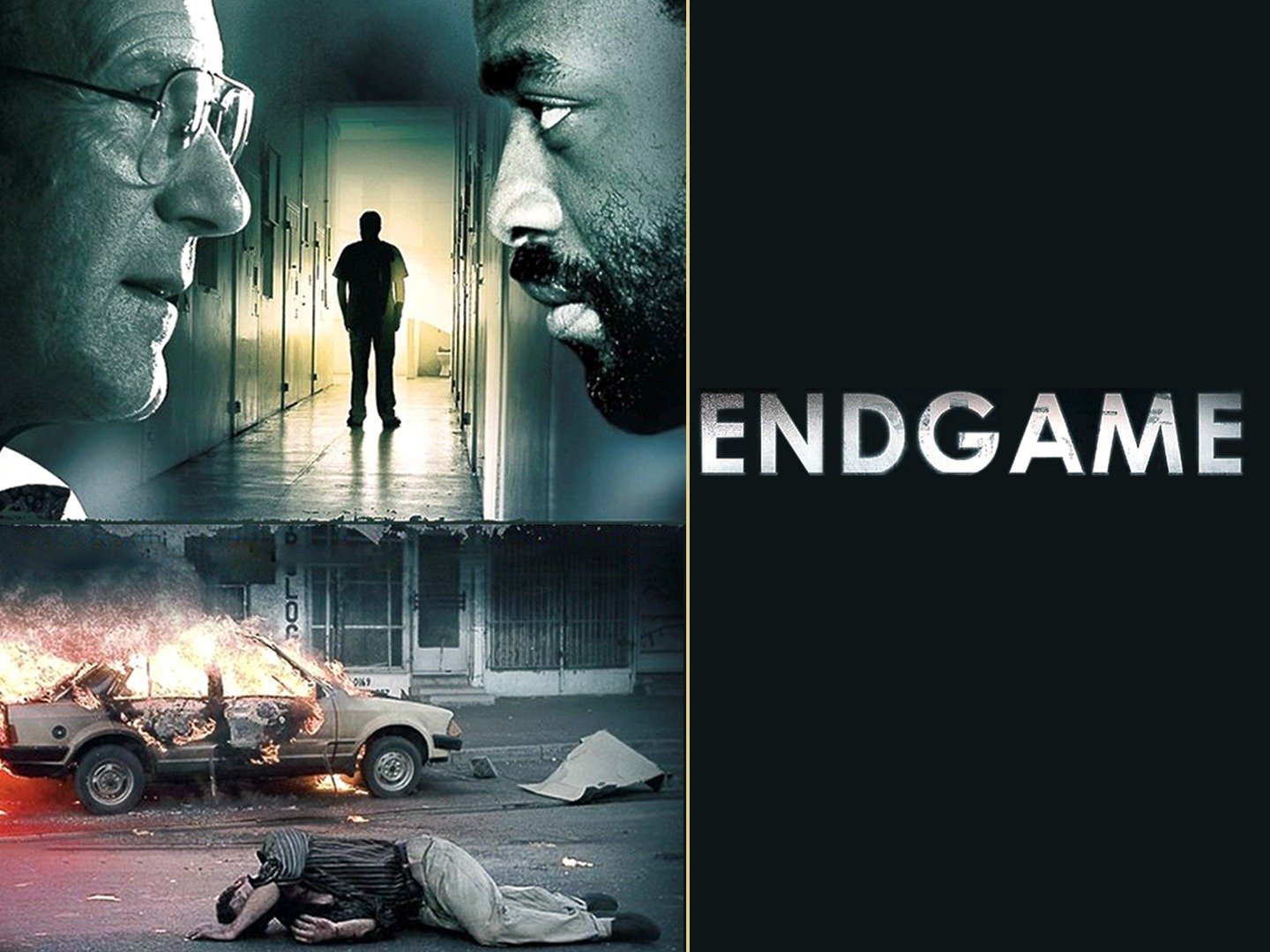 The Endgame 2009