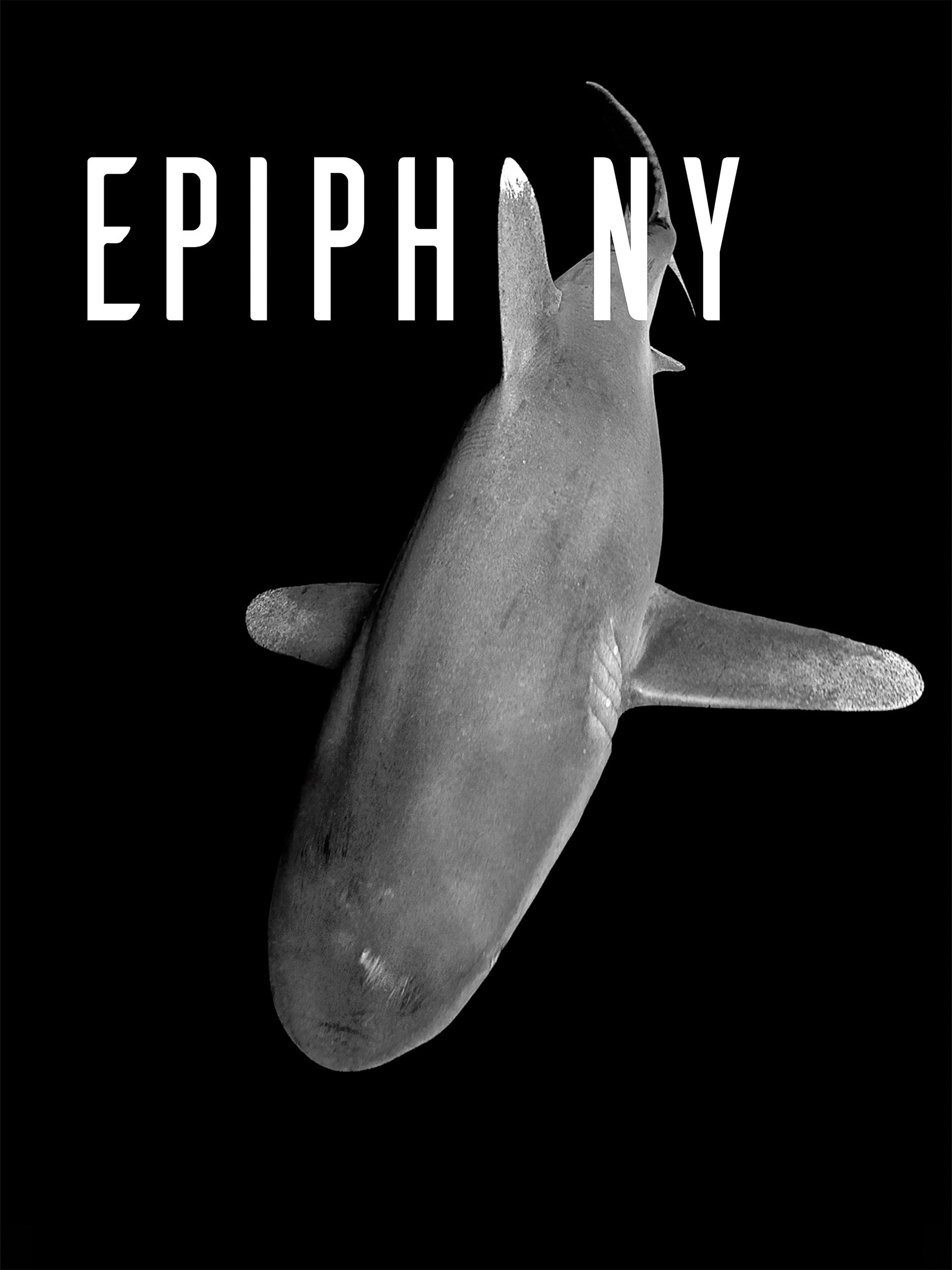 Epiphany - Rotten Tomatoes