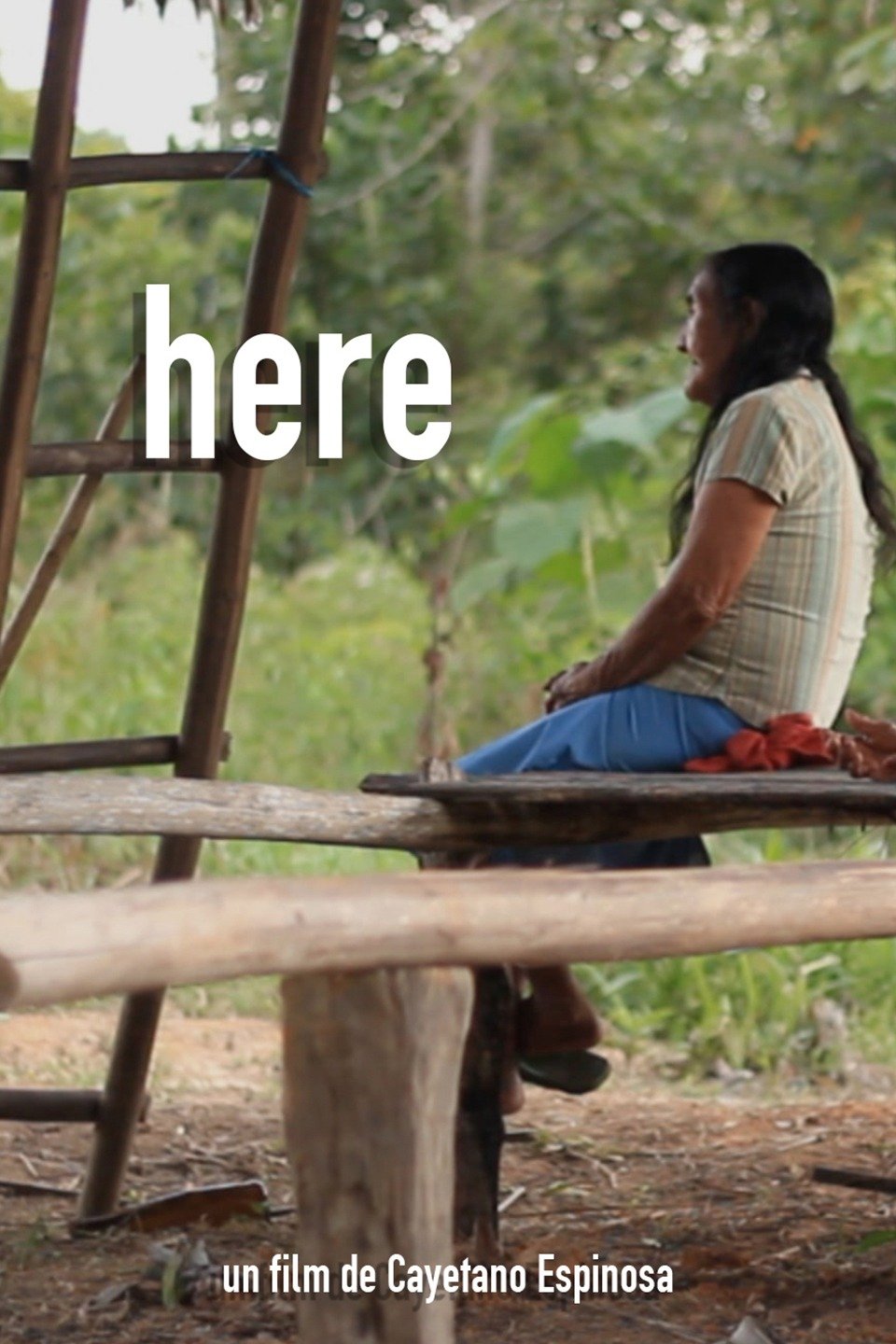 Here - Rotten Tomatoes