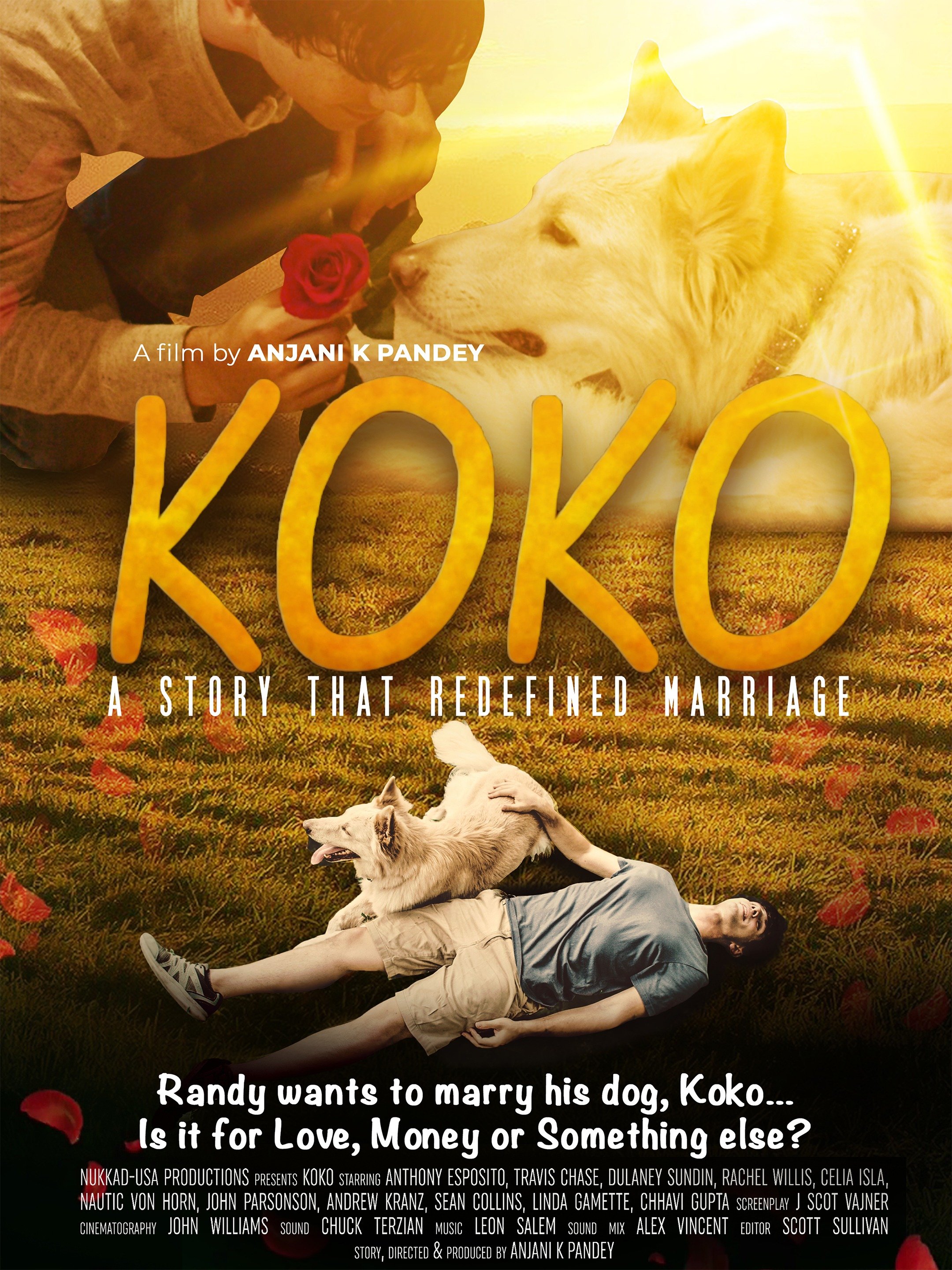 Koko - Rotten Tomatoes