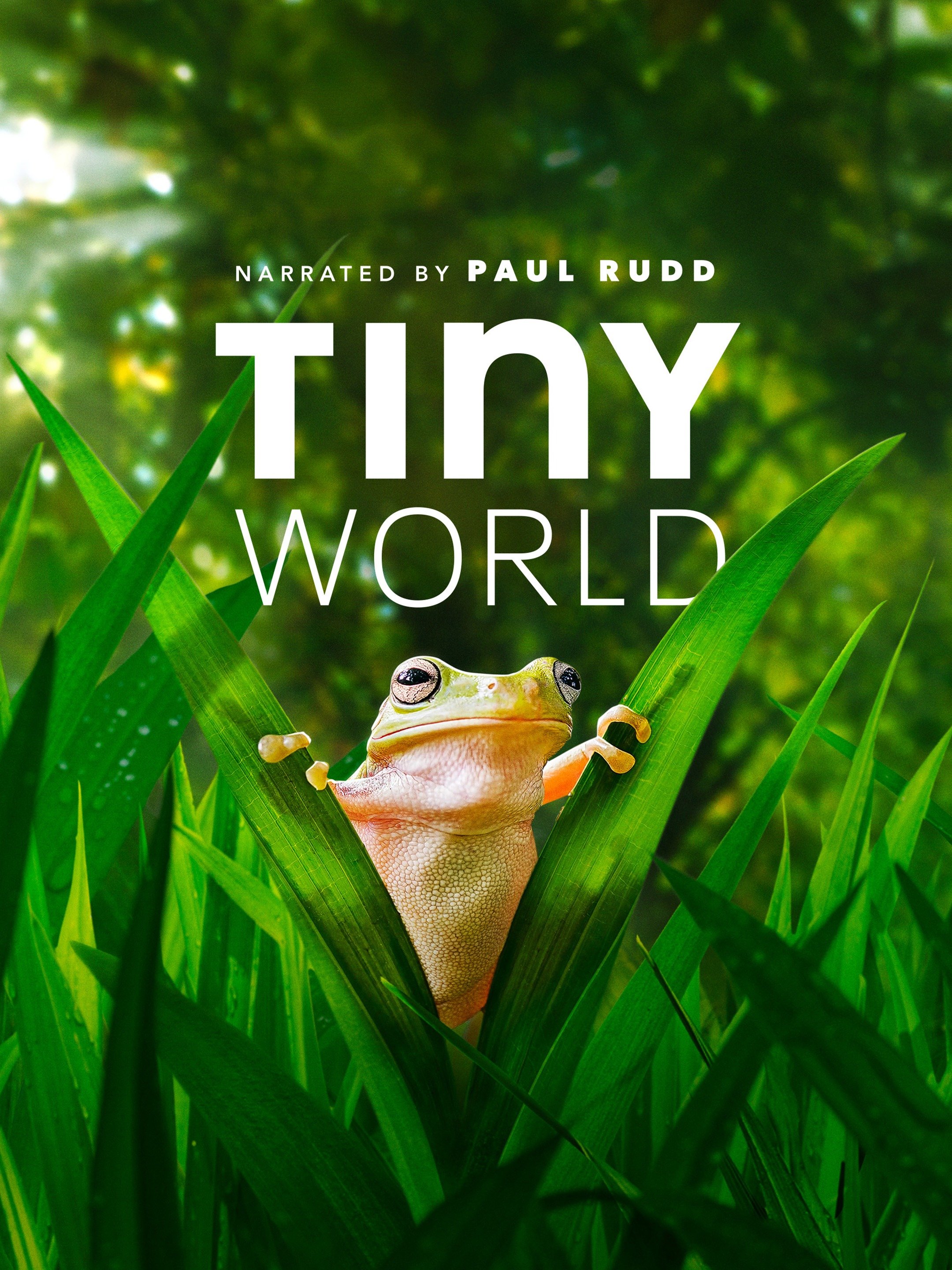 Tiny World - Rotten Tomatoes