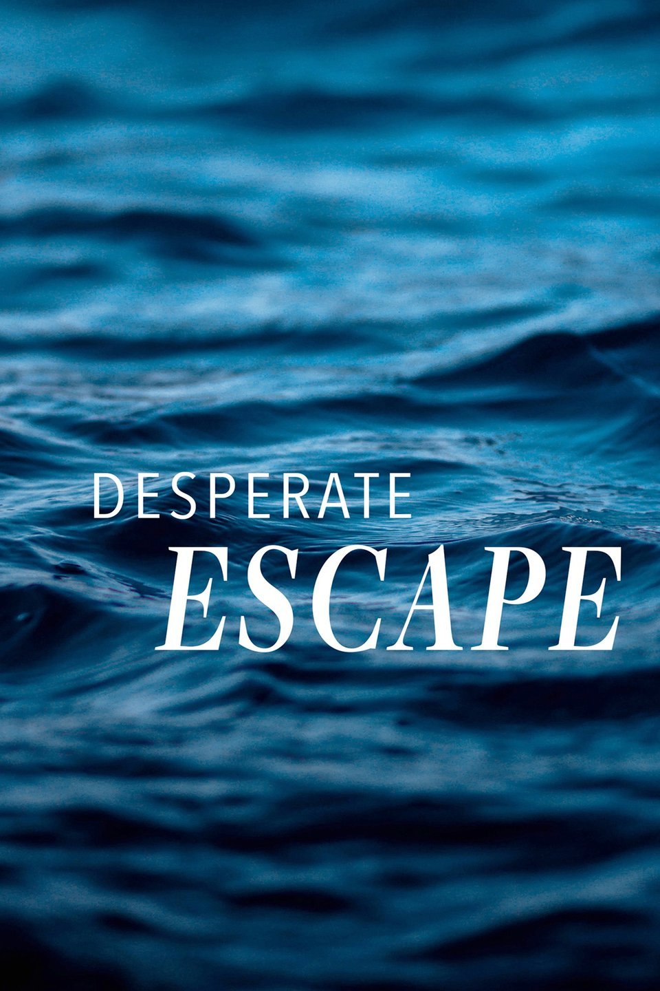 Desperate Escape - Movie Reviews