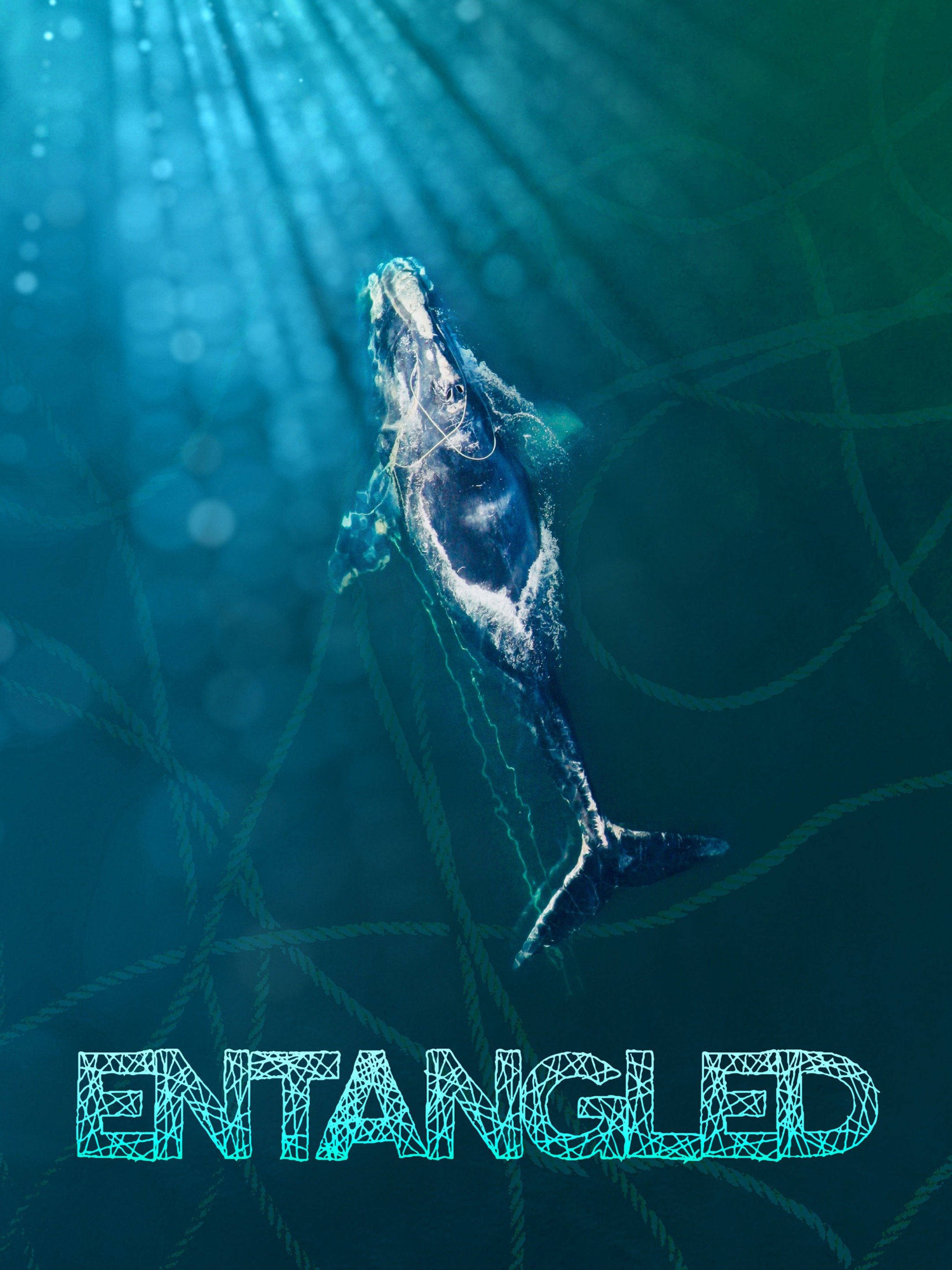 Entangled - Rotten Tomatoes