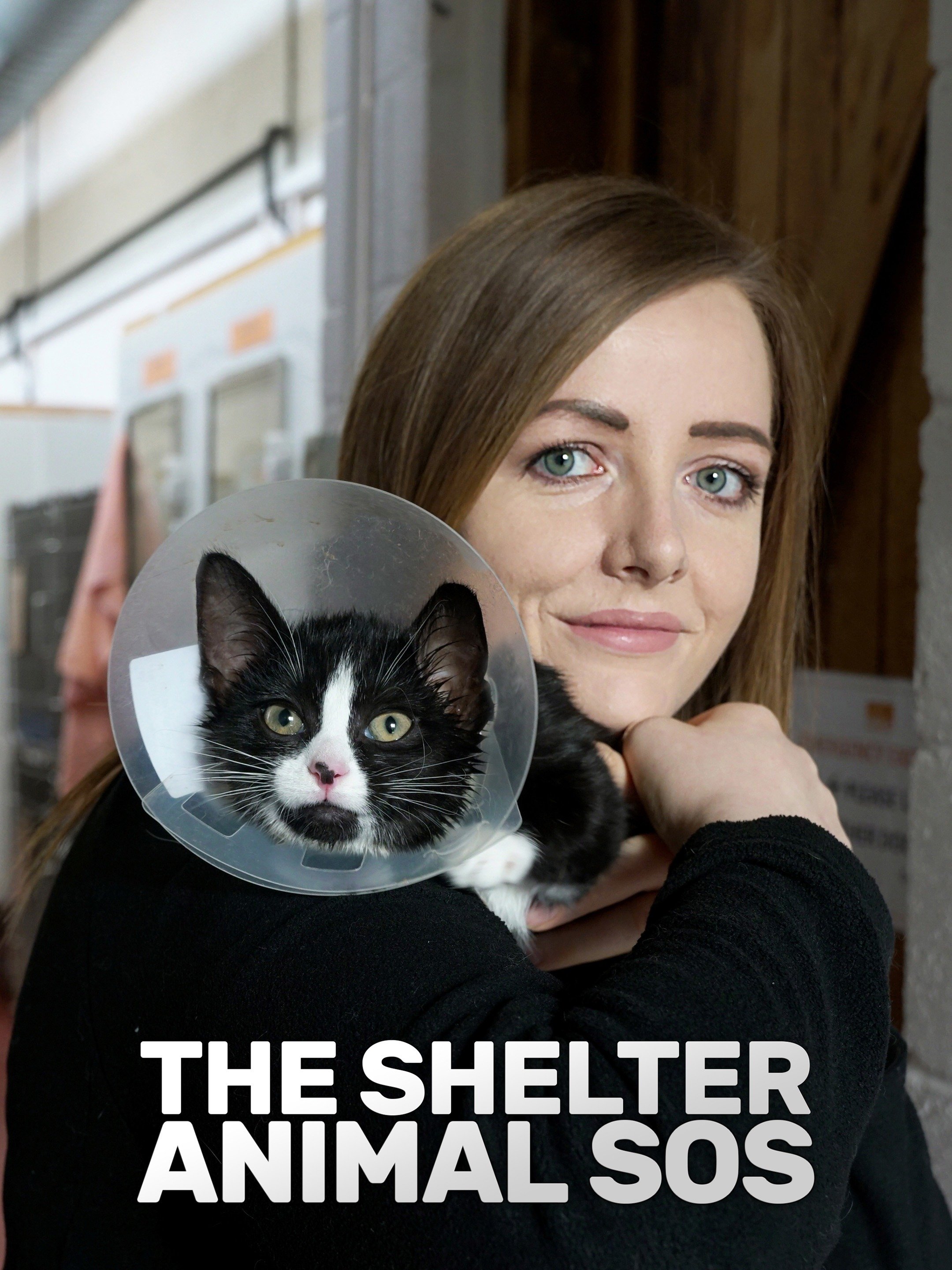 The Shelter: Animal SOS - Rotten Tomatoes