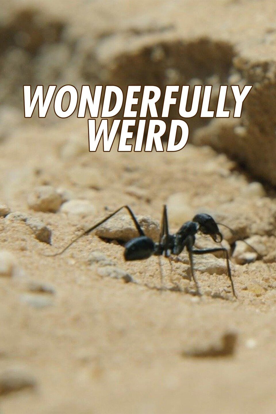 Wonderfully Weird - Rotten Tomatoes