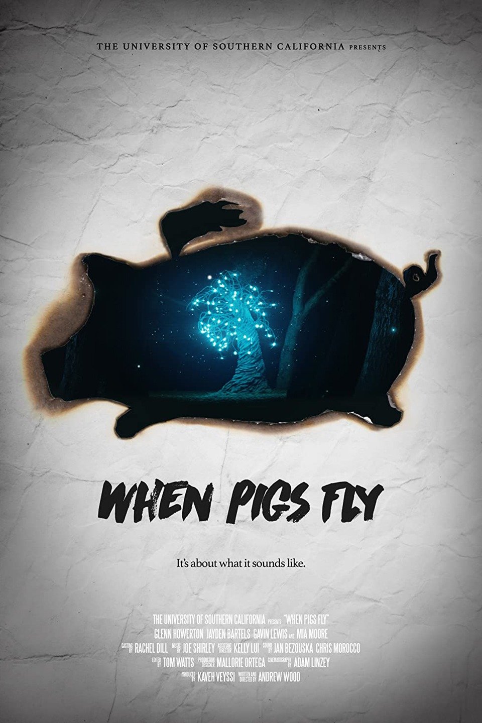 When Pigs Fly - Rotten Tomatoes
