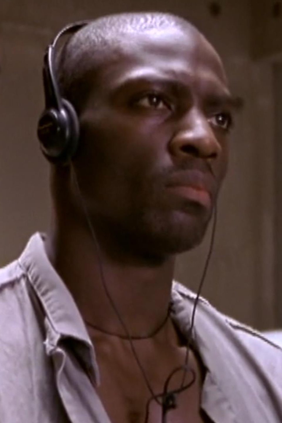 Animal Farm Pictures - Rotten Tomatoes