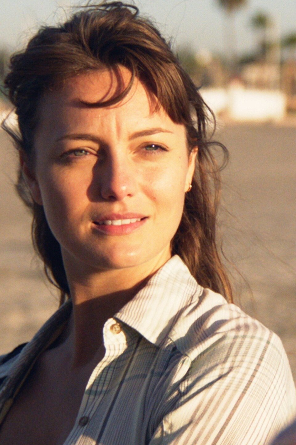 Splinter Pictures - Rotten Tomatoes