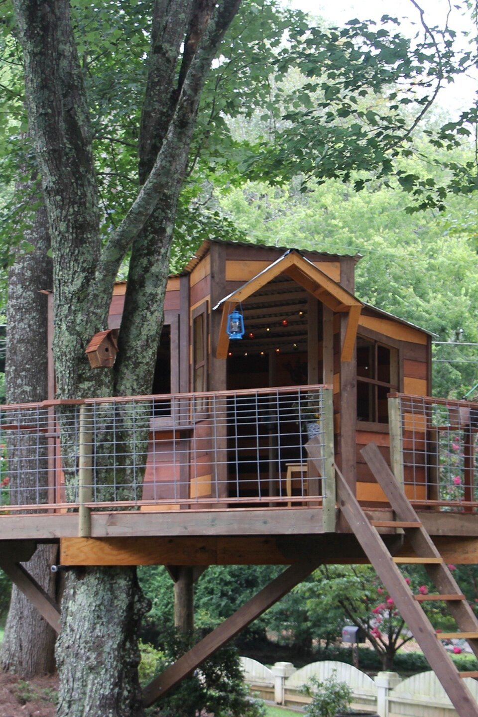 Treehouse Hideaway Pictures - Rotten Tomatoes