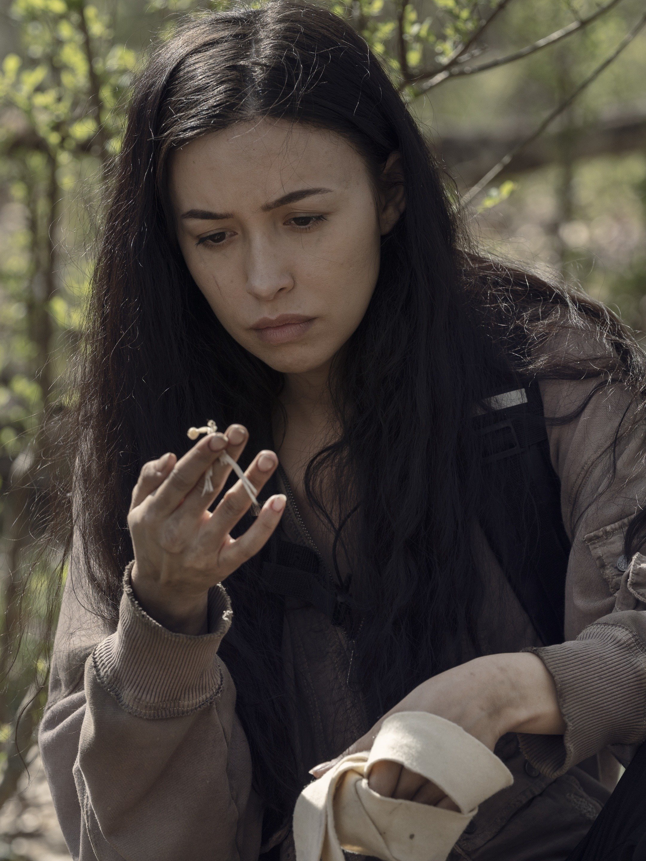 Hunted Pictures - Rotten Tomatoes