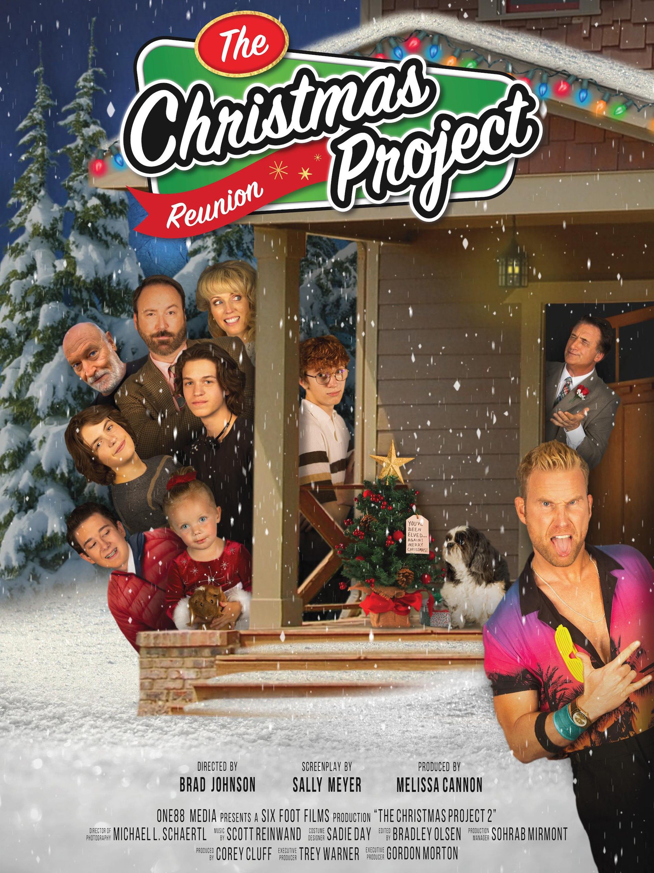 The Christmas Project Reunion - Rotten Tomatoes