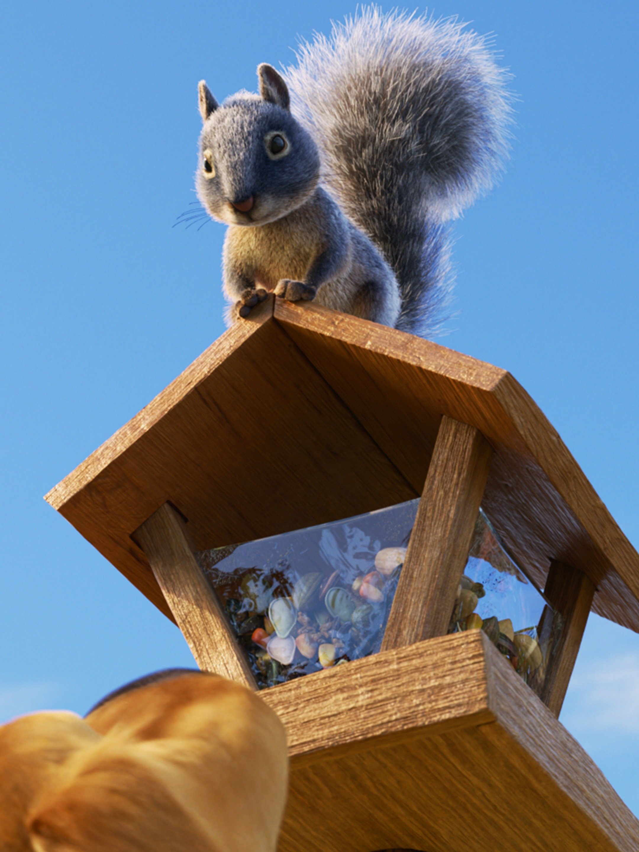 Squirrel! Pictures - Rotten Tomatoes