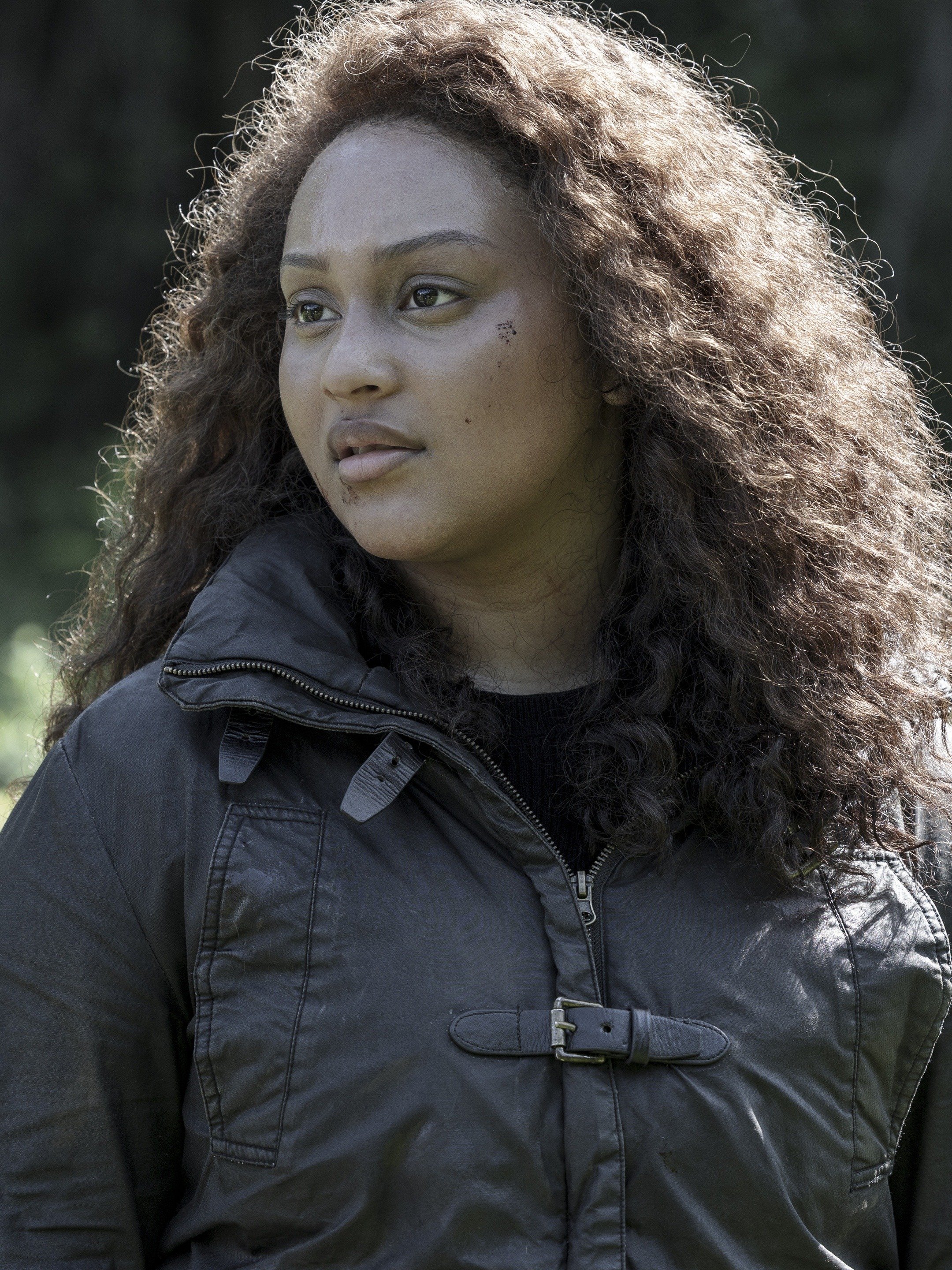 The Last Light Pictures - Rotten Tomatoes