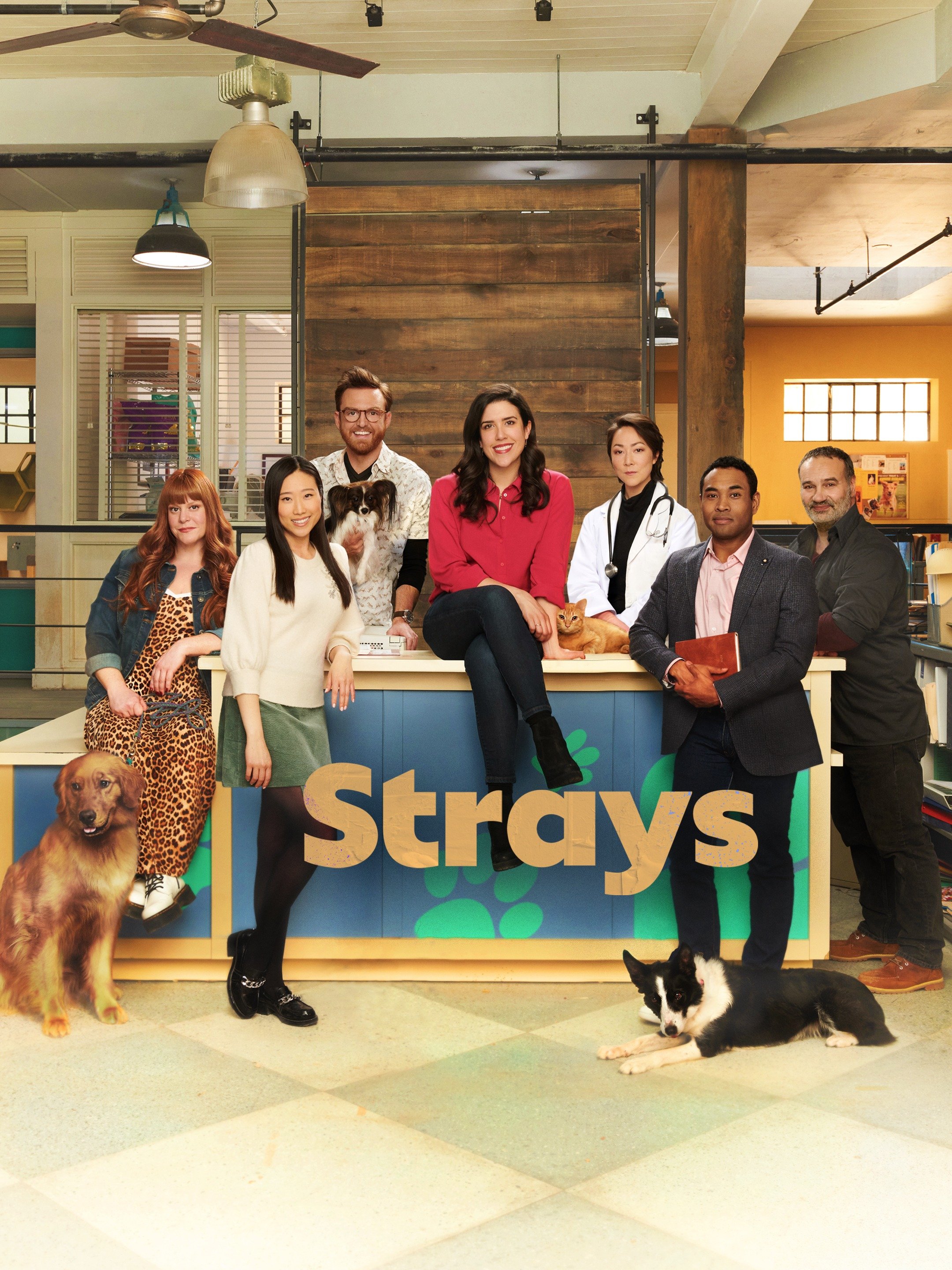 Strays - Rotten Tomatoes
