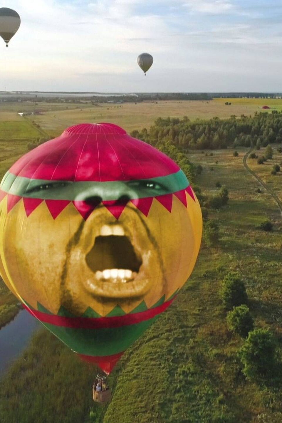 Ah Rats! Who Let the Fox Out? Pictures - Rotten Tomatoes