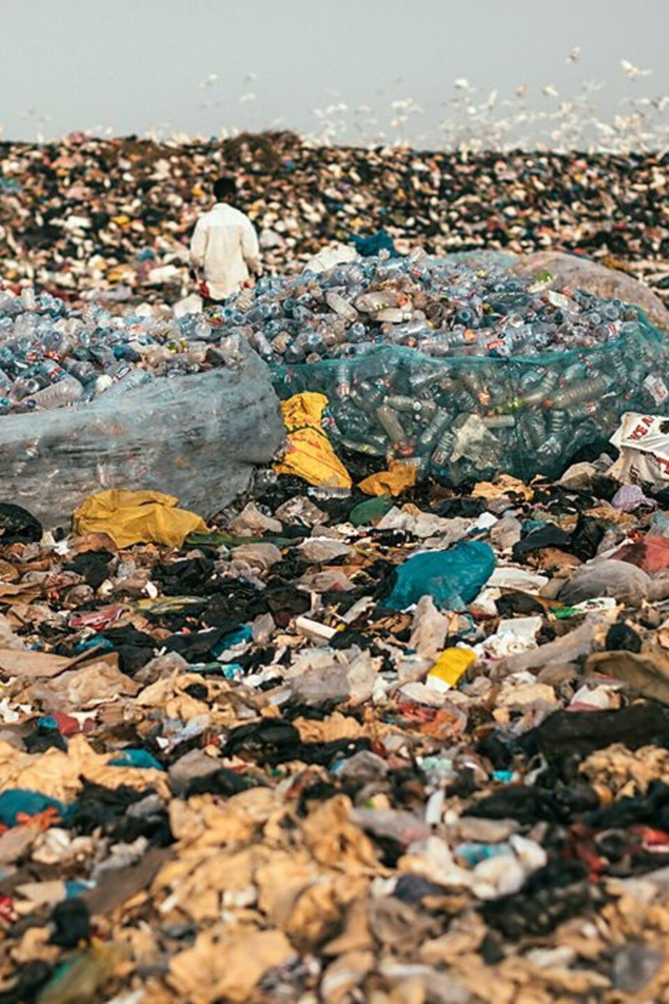 Build a Waste-Free World Pictures - Rotten Tomatoes