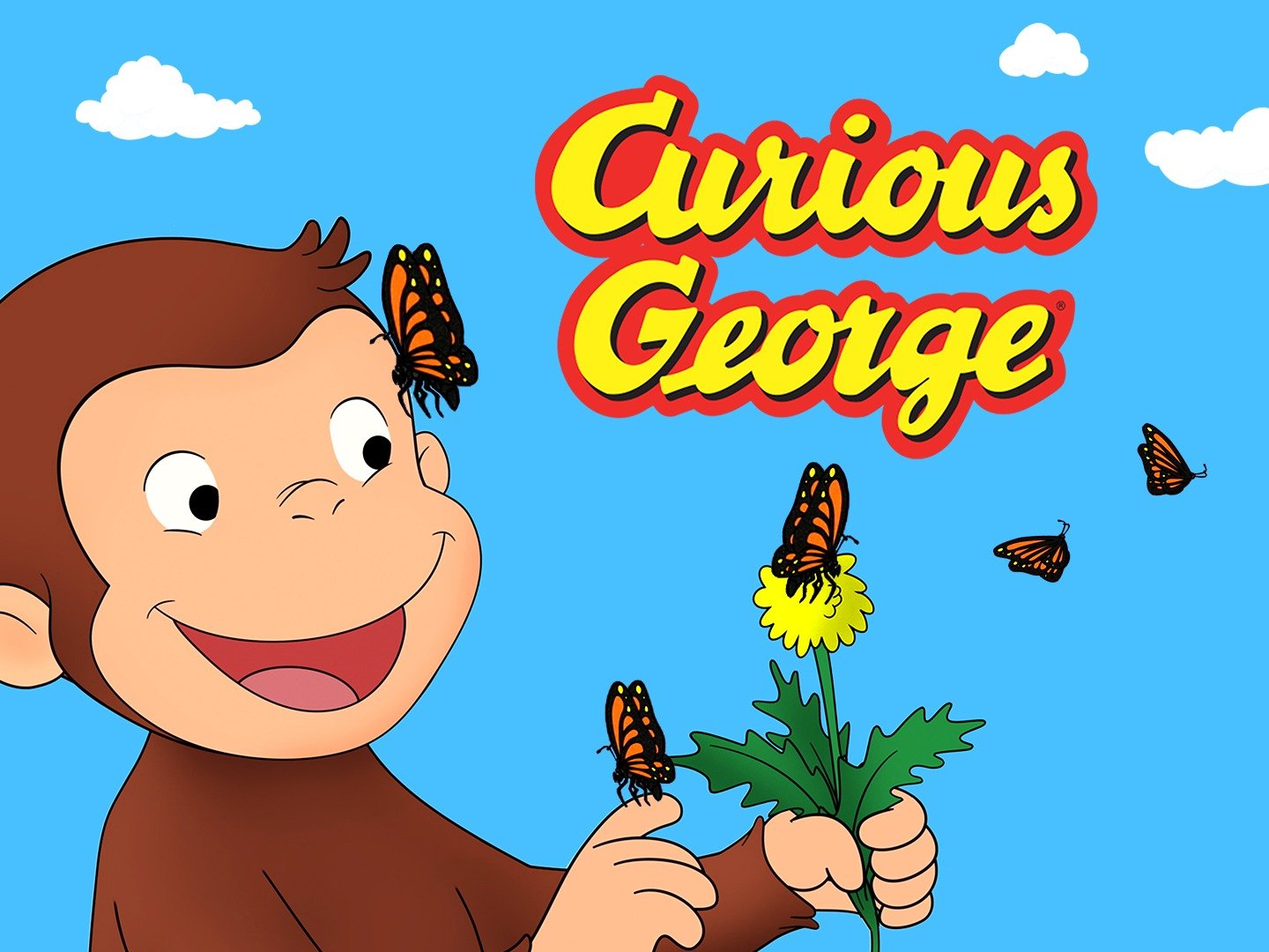 Curious George Steve