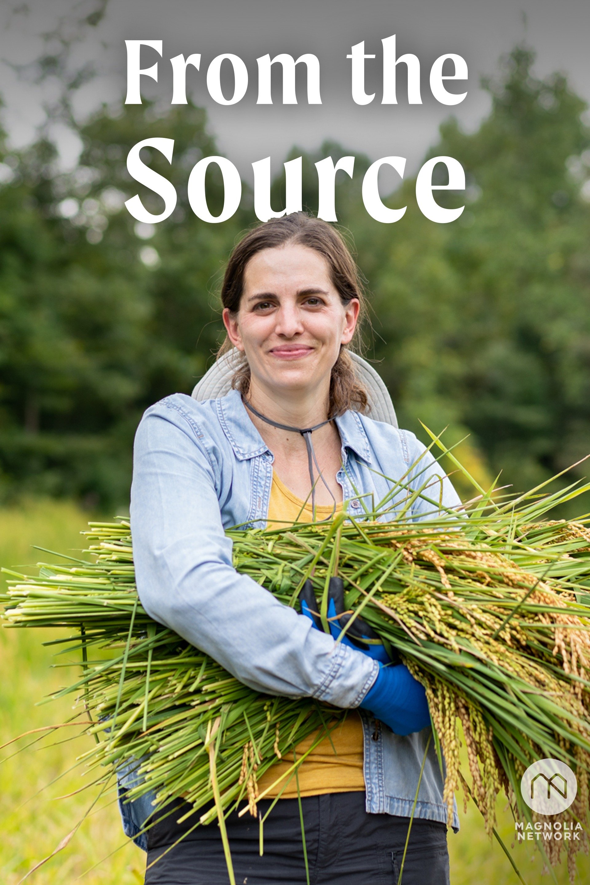 From the Source - Rotten Tomatoes