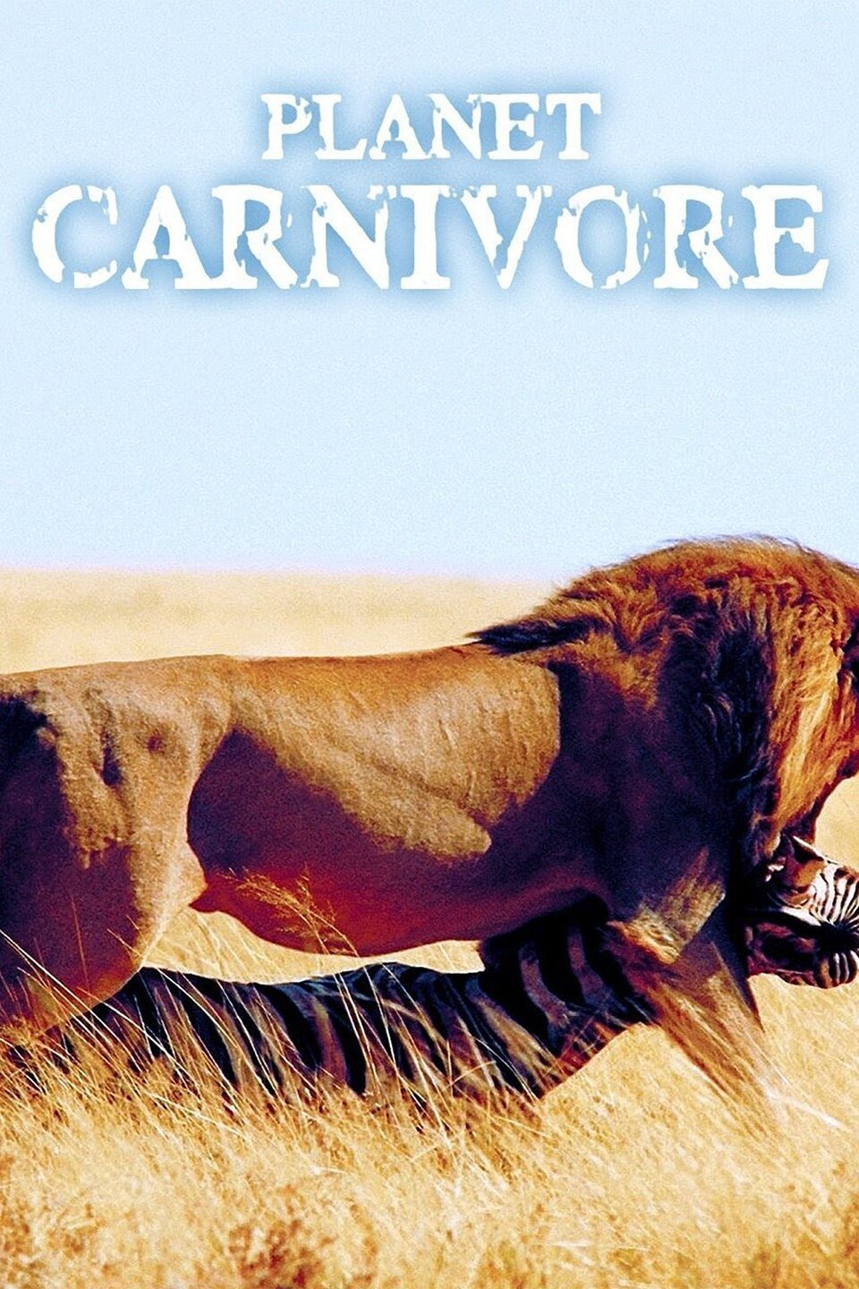 Ice Bears Pictures - Rotten Tomatoes