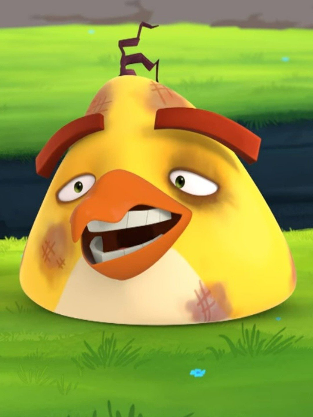 Angry Birds Toons Run Chuck Run