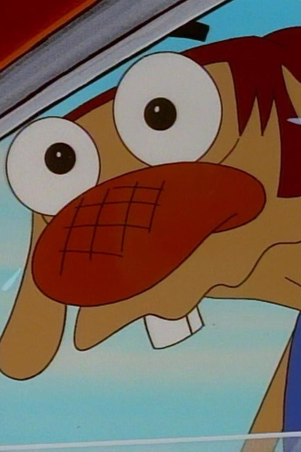 Lube in Love; Picture This Pictures - Rotten Tomatoes