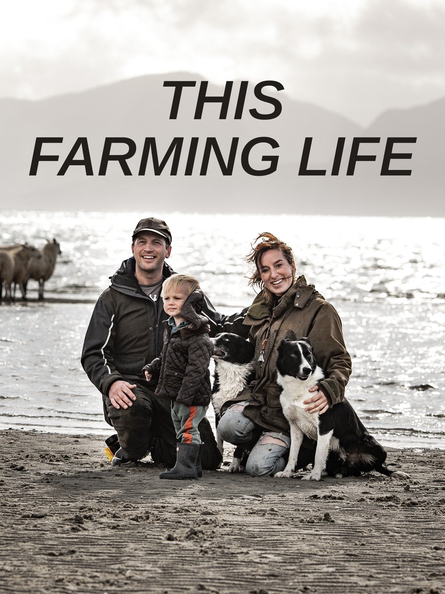 This Farming Life - Rotten Tomatoes