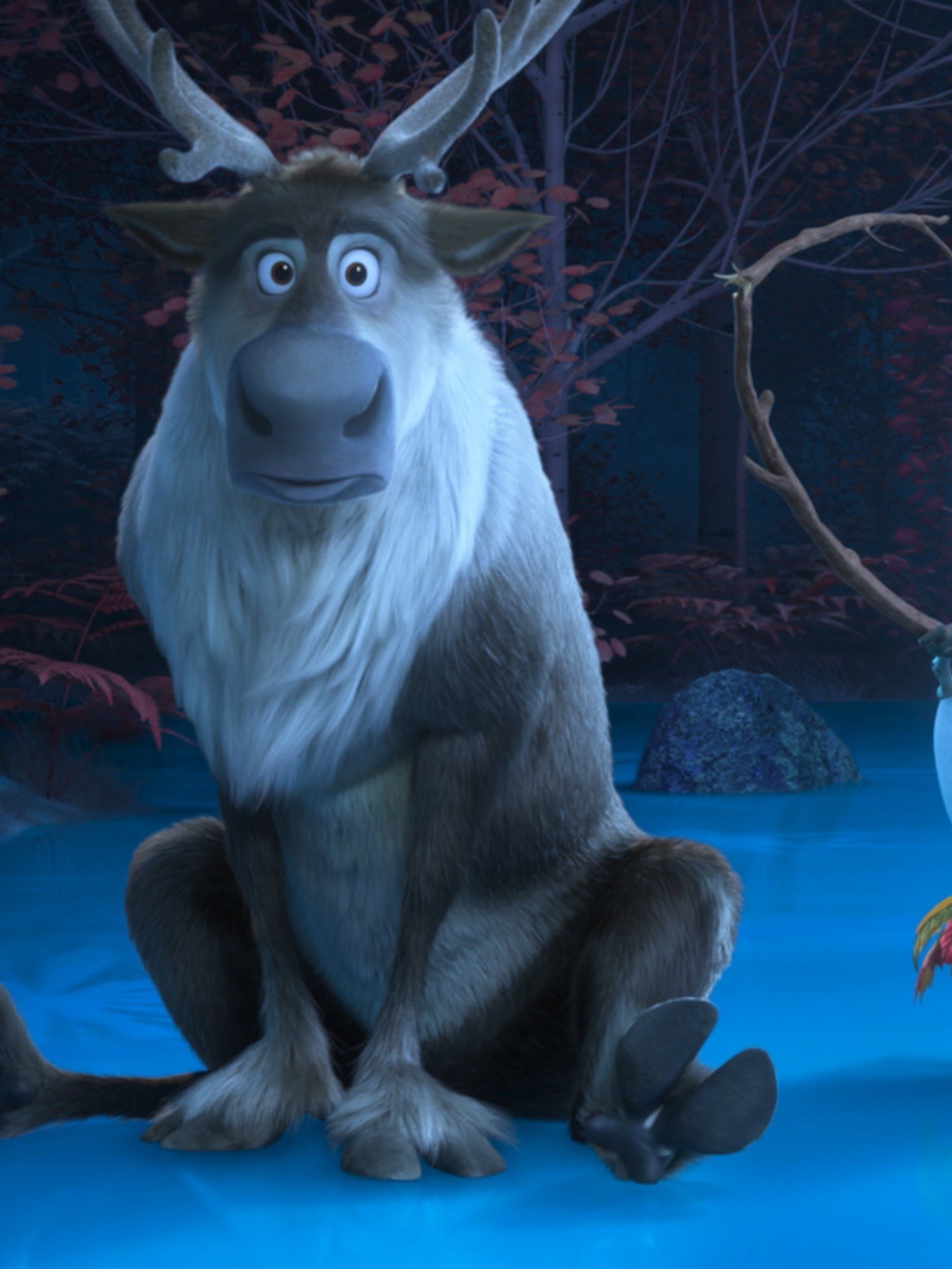 Moana Pictures - Rotten Tomatoes