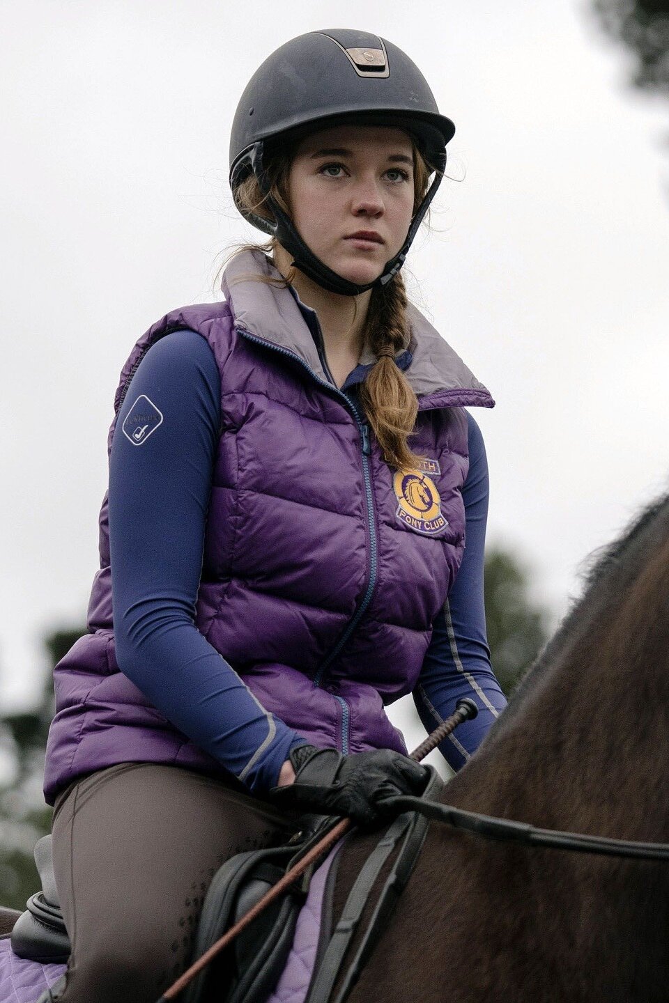 The Wager Pictures - Rotten Tomatoes