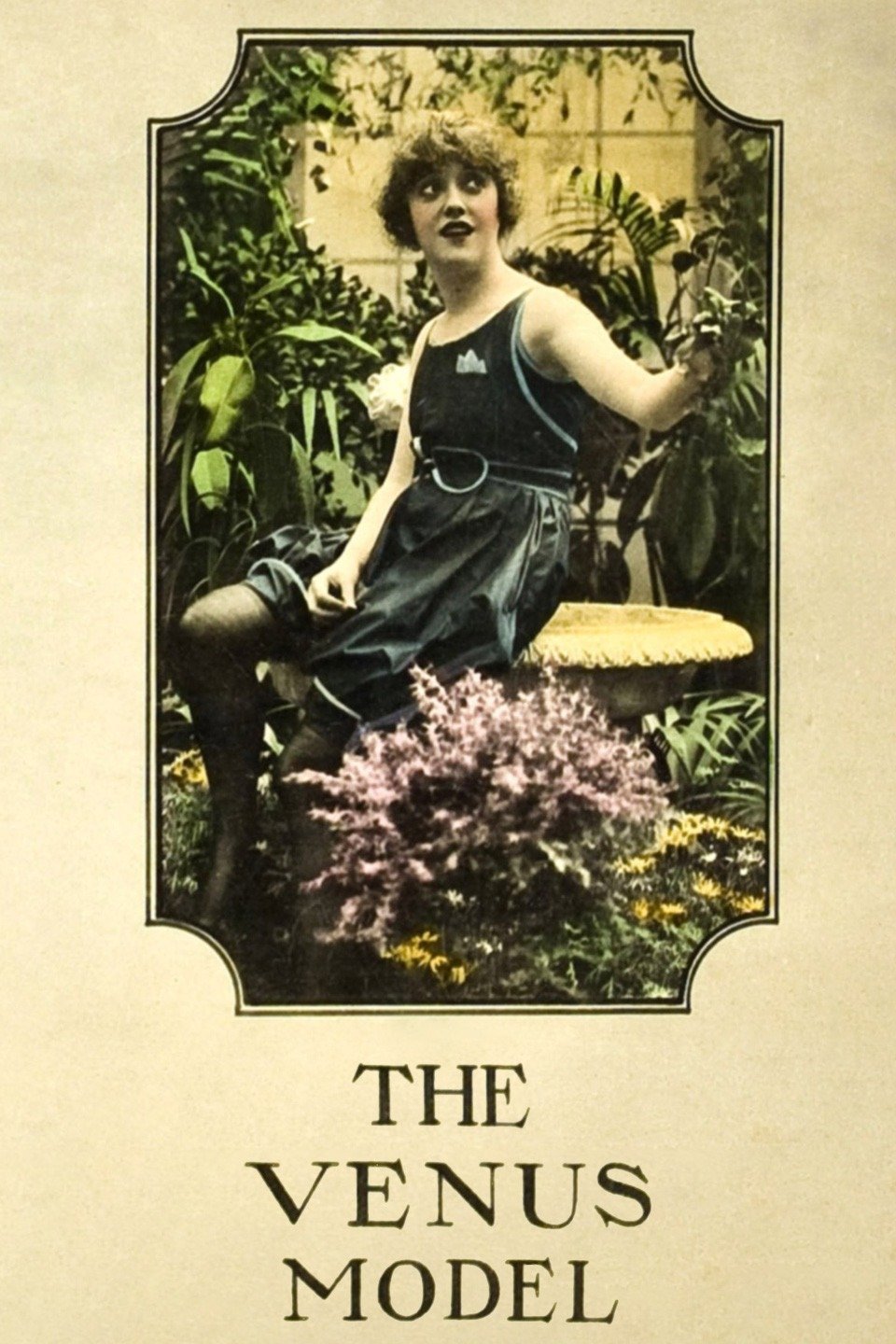 The Venus Model Pictures - Rotten Tomatoes
