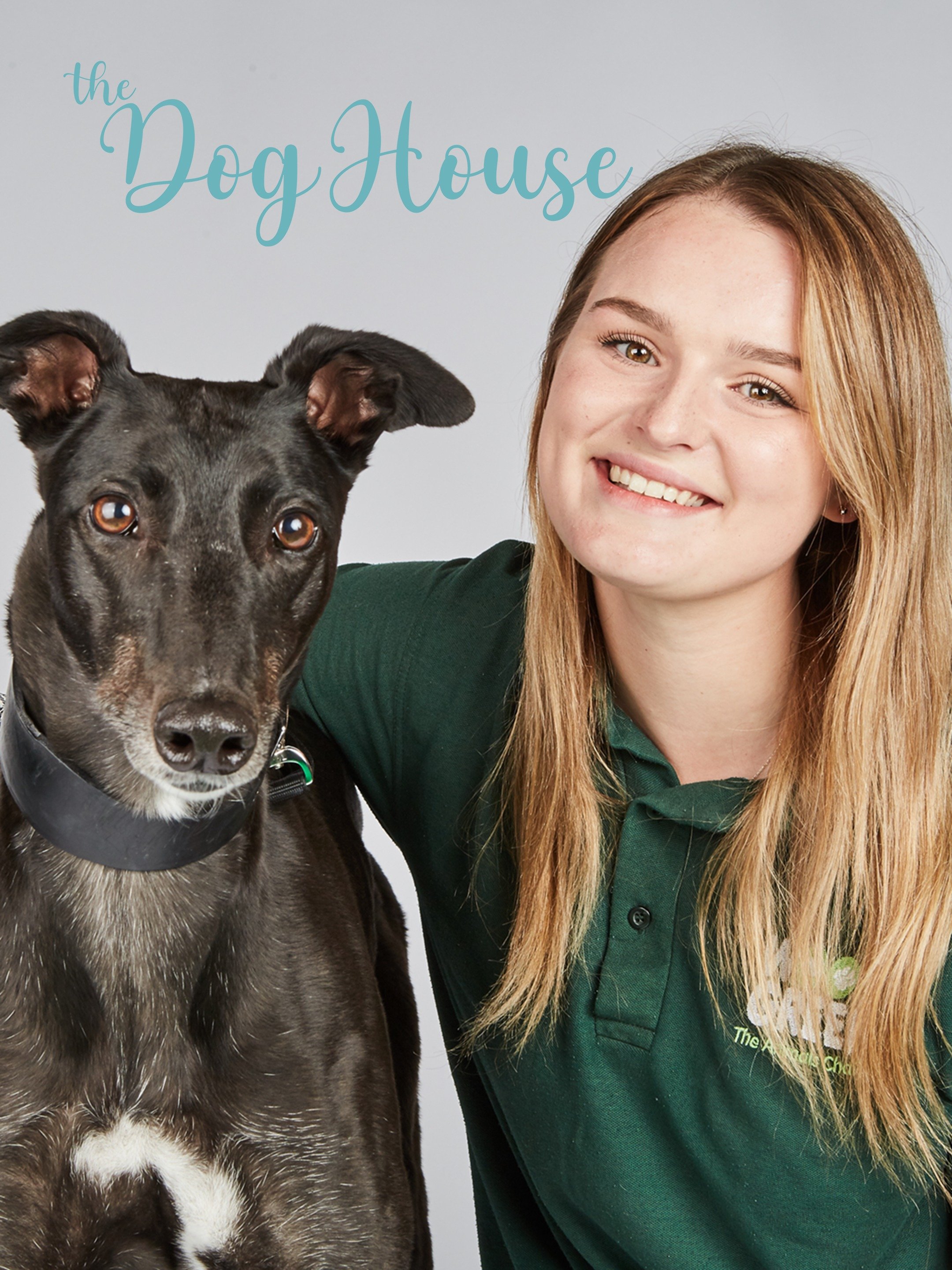 The Dog House - Rotten Tomatoes