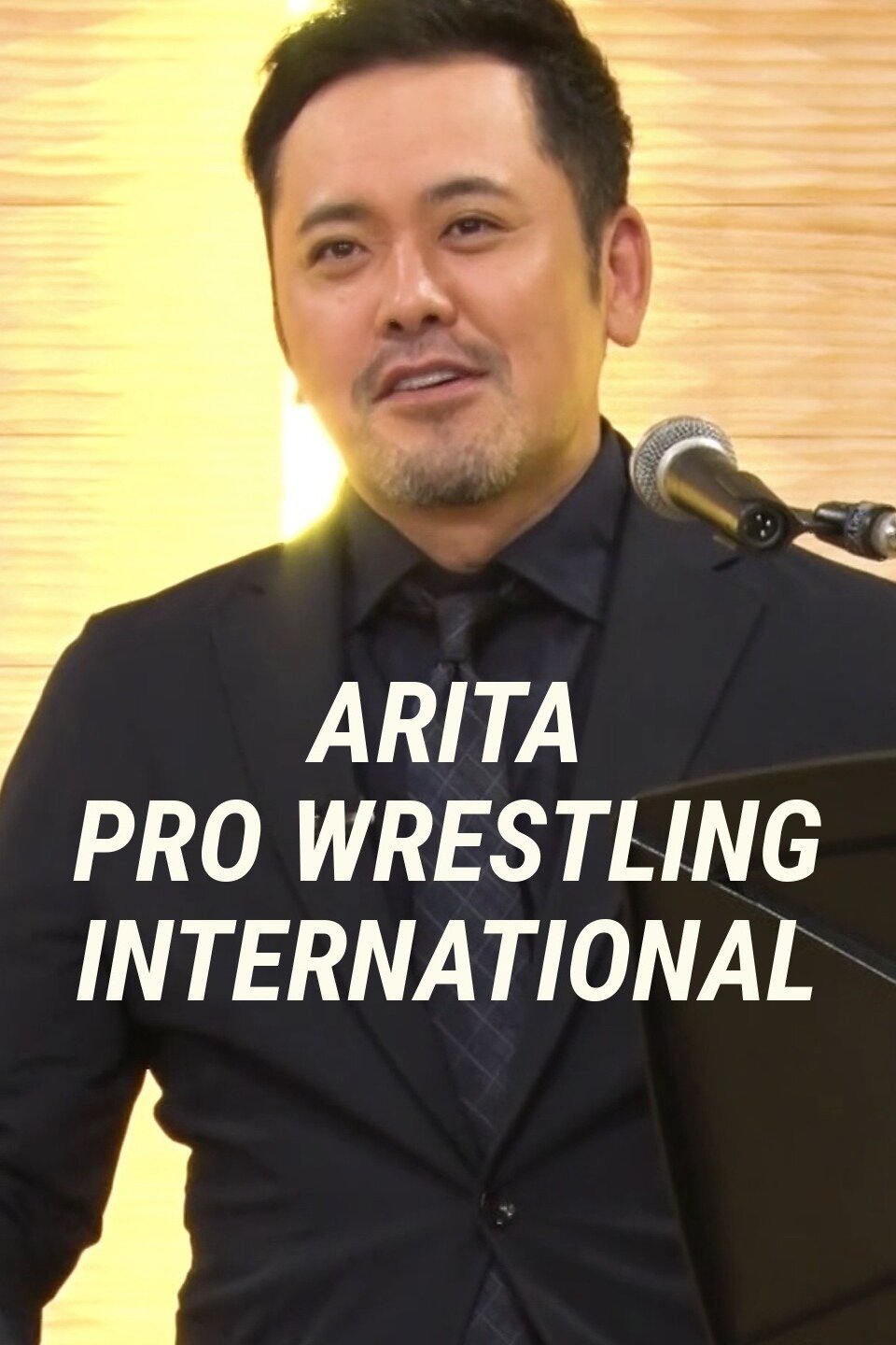 Arita Pro Wrestling International - Rotten Tomatoes