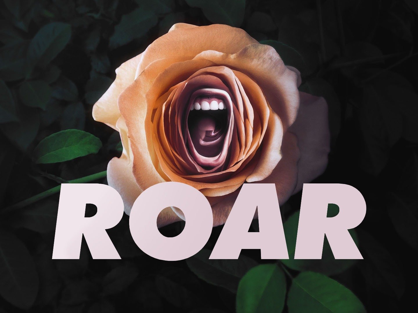 Roar: Season 1 First Look - Rotten Tomatoes