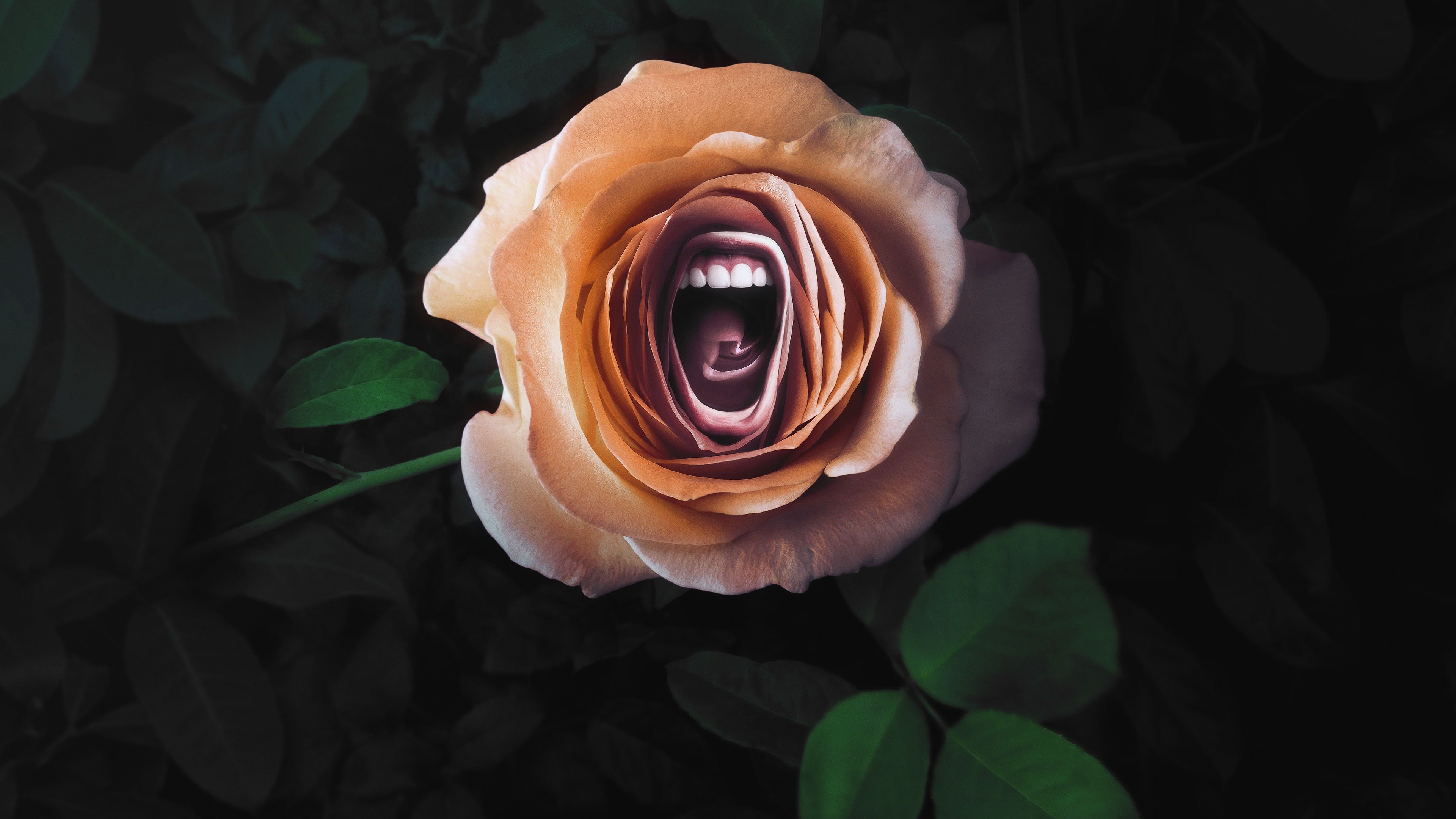 Roar: Season 1 First Look - Rotten Tomatoes