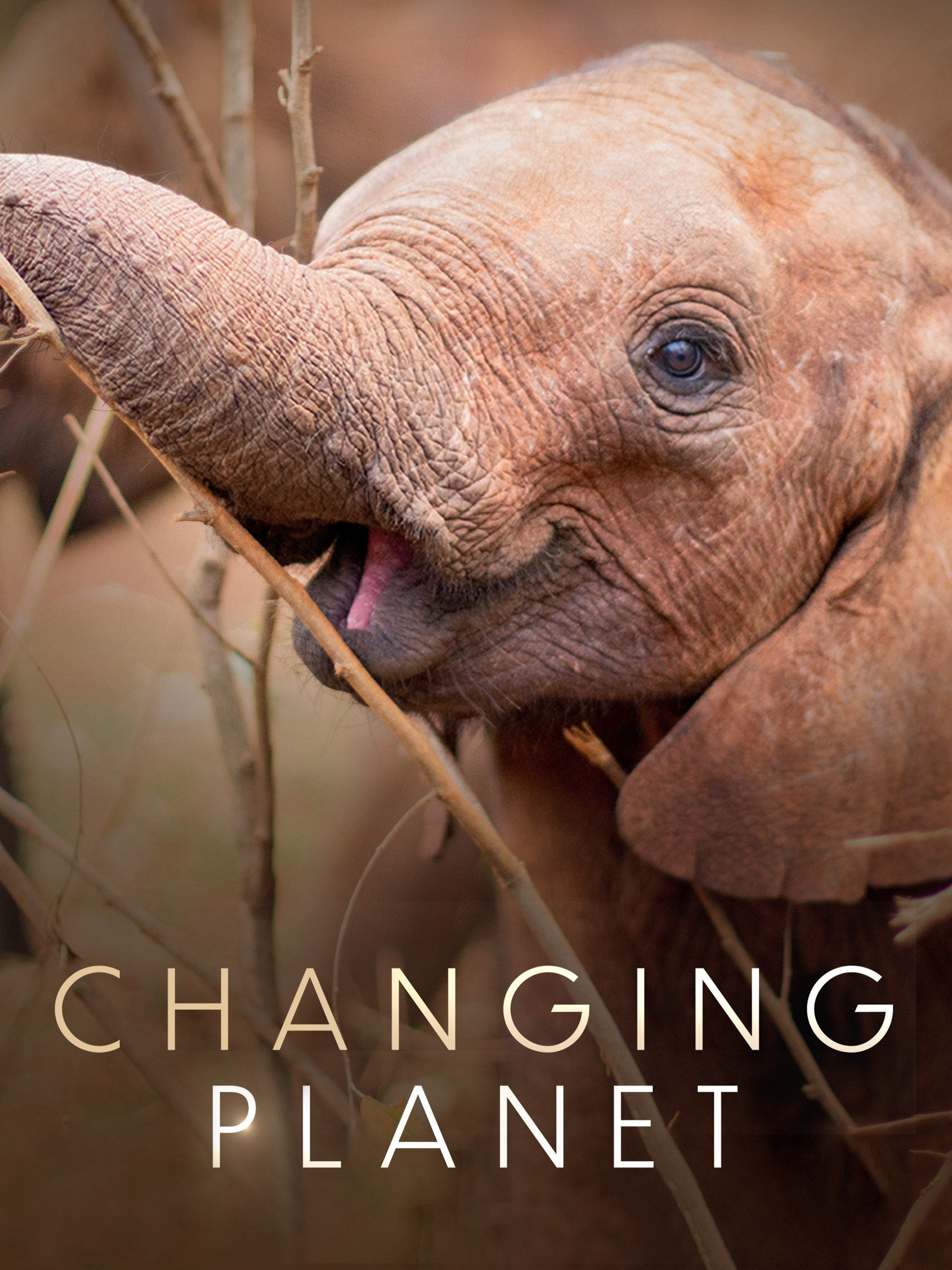 Changing Planet - Rotten Tomatoes