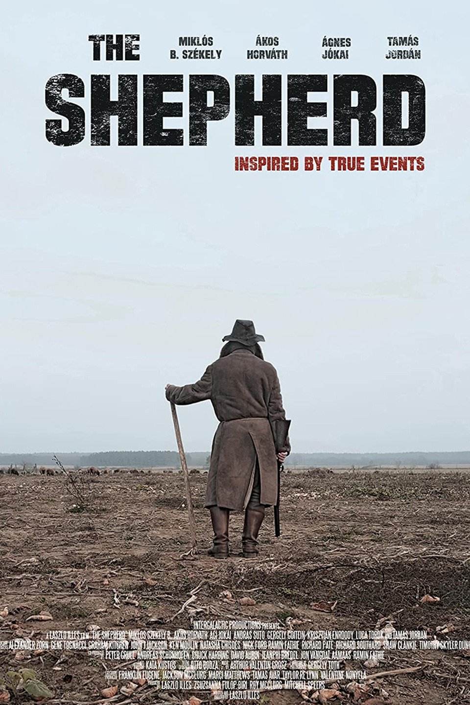 The Shepherd Pictures - Rotten Tomatoes