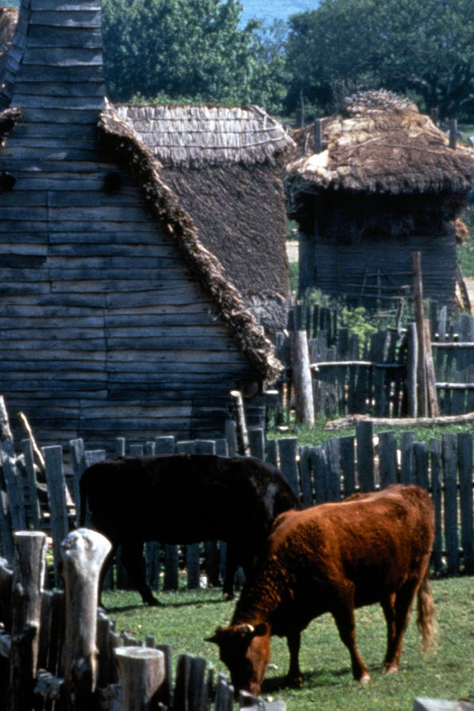 Frontier Homes Pictures - Rotten Tomatoes