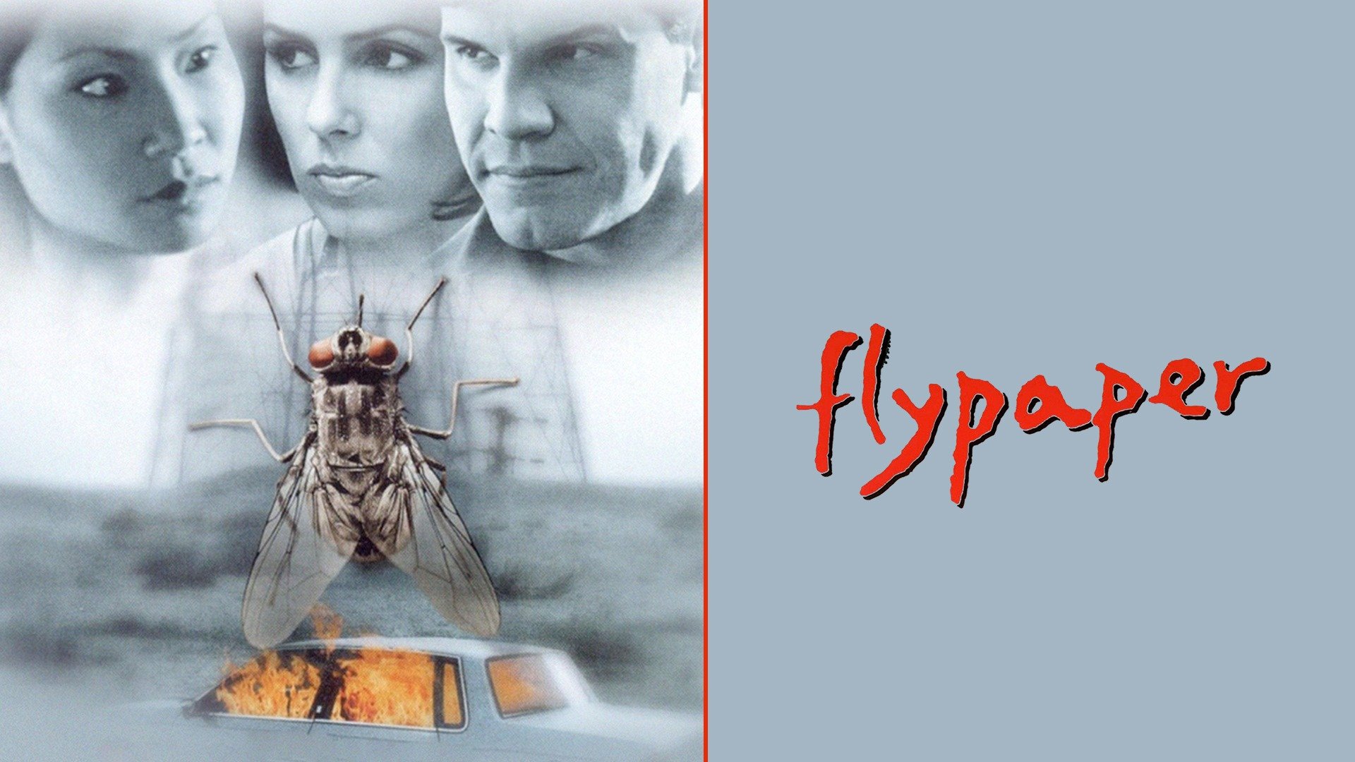 Flypaper Movie 1997