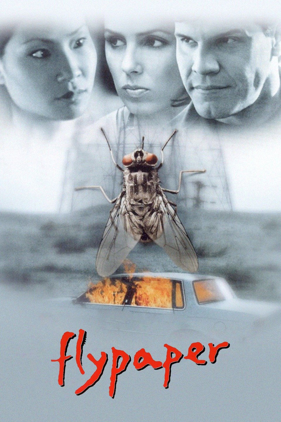 Flypaper - Rotten Tomatoes