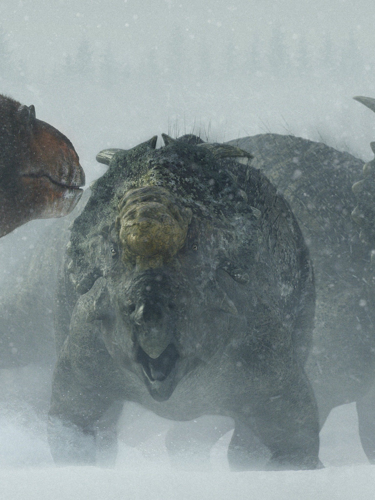 Ice Worlds Pictures - Rotten Tomatoes