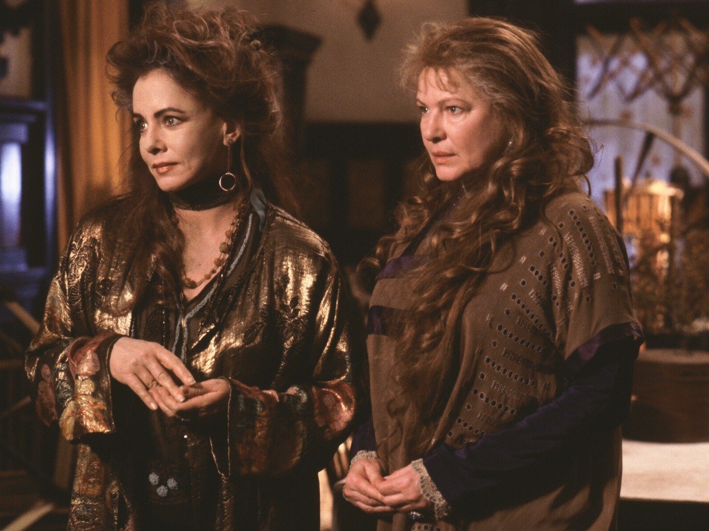 Dianne Wiest Practical Magic