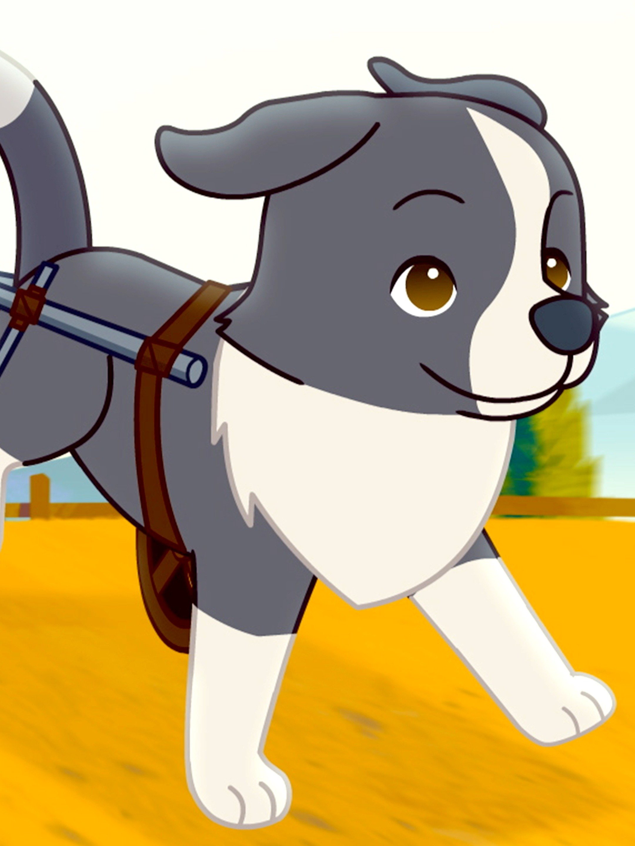Keeping Up with a Three-Legged Pup Pictures - Rotten Tomatoes