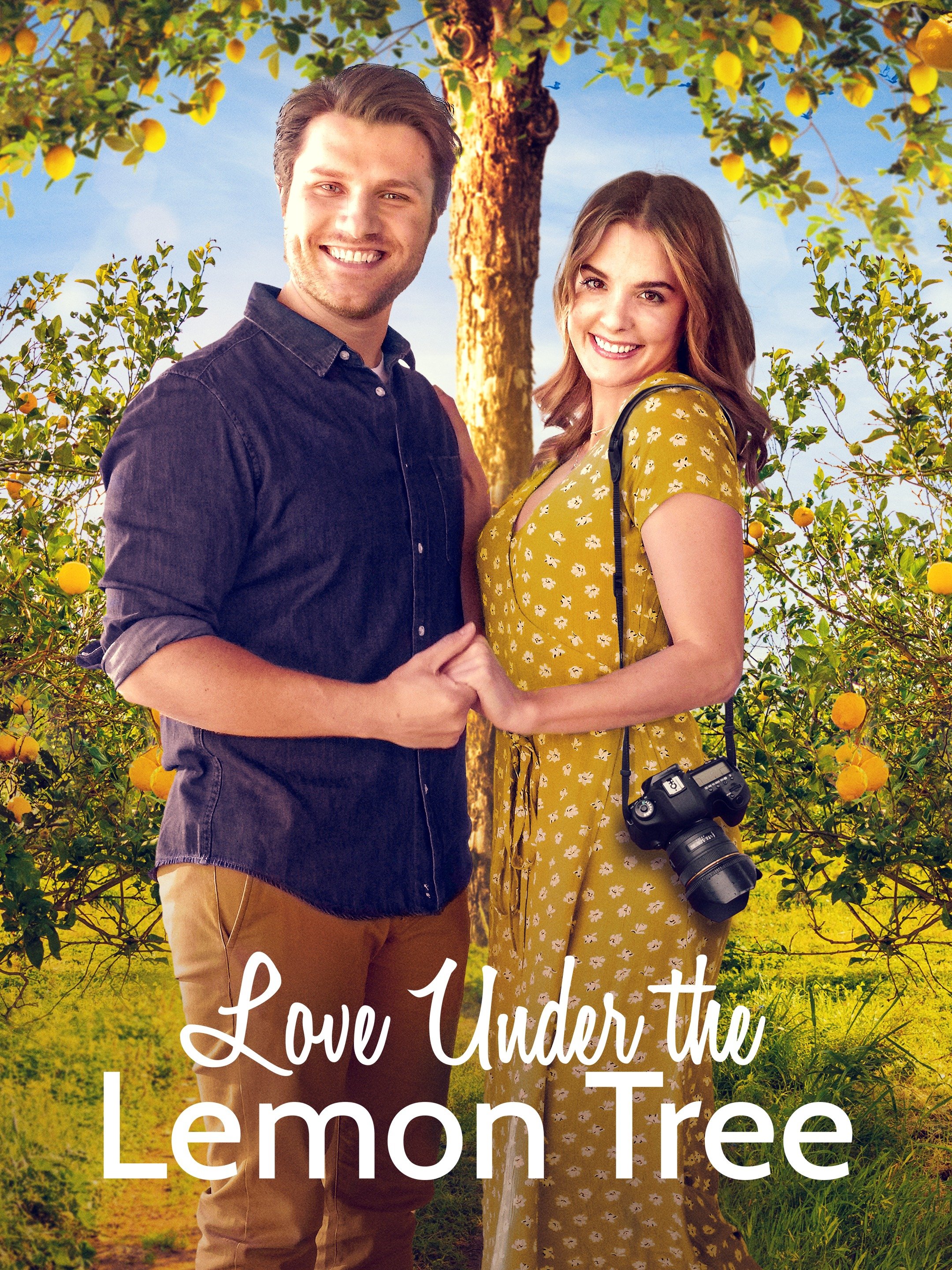 Love Under the Lemon Tree Pictures - Rotten Tomatoes