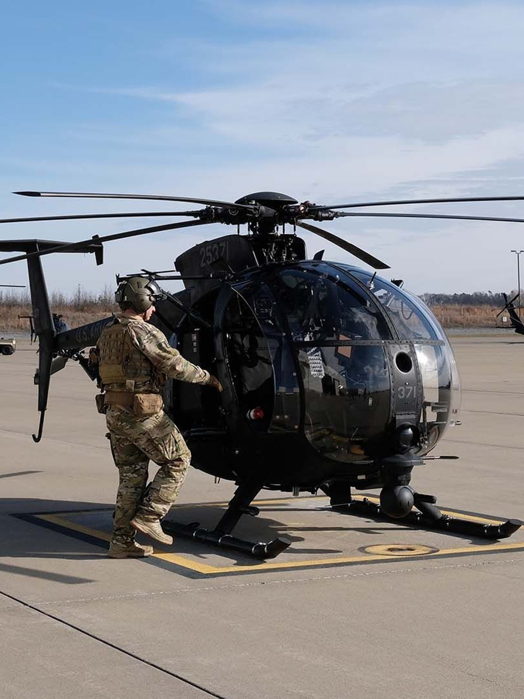 Little Bird Pictures - Rotten Tomatoes