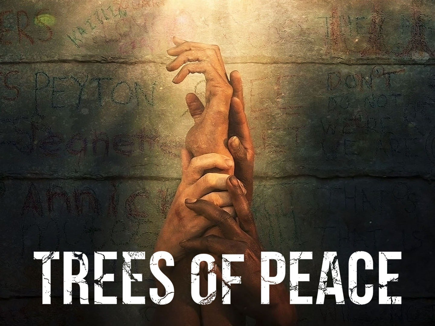 Trees of Peace: Trailer 1 - Trailers & Videos - Rotten Tomatoes