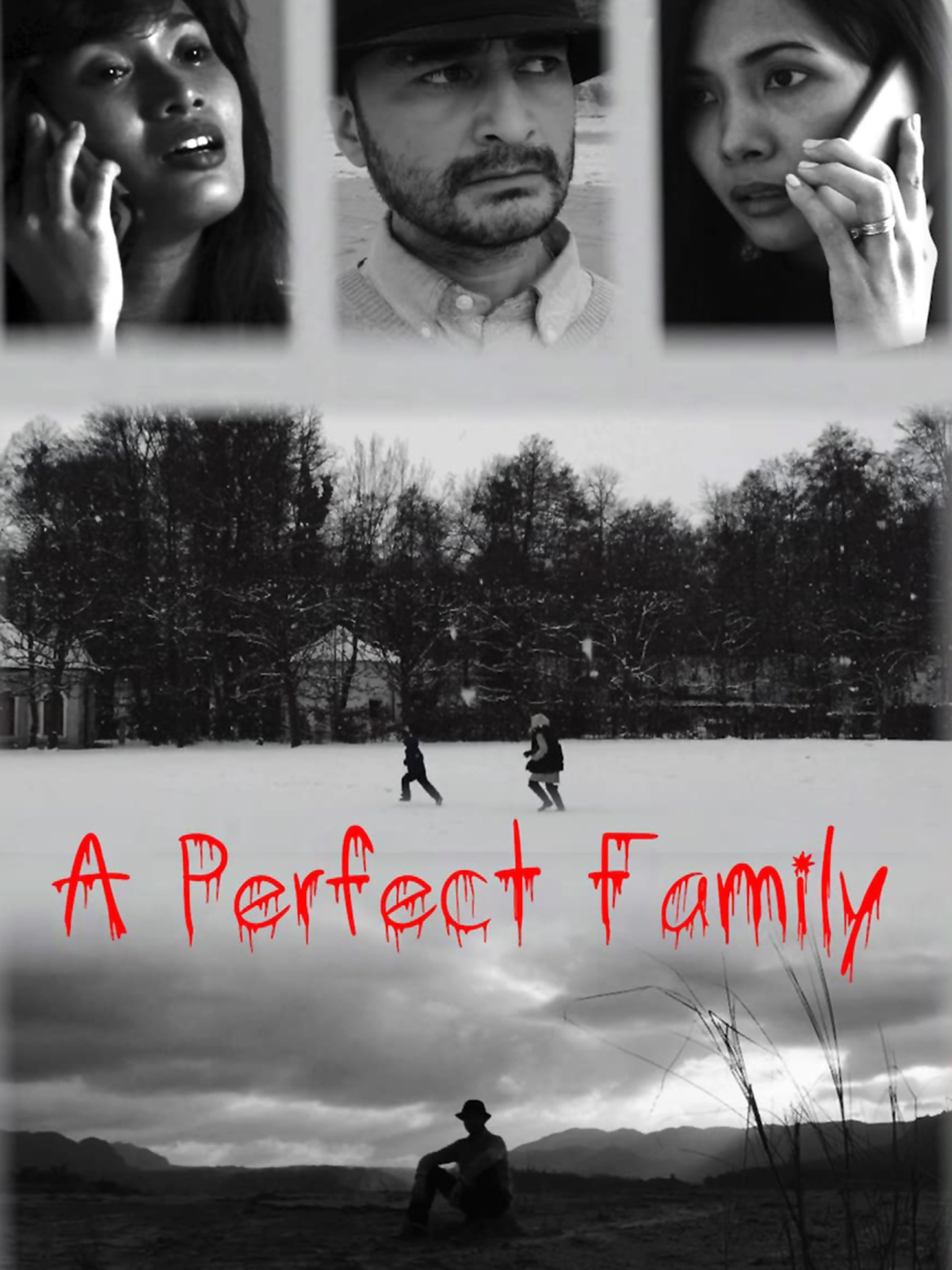 A Perfect Family - Rotten Tomatoes