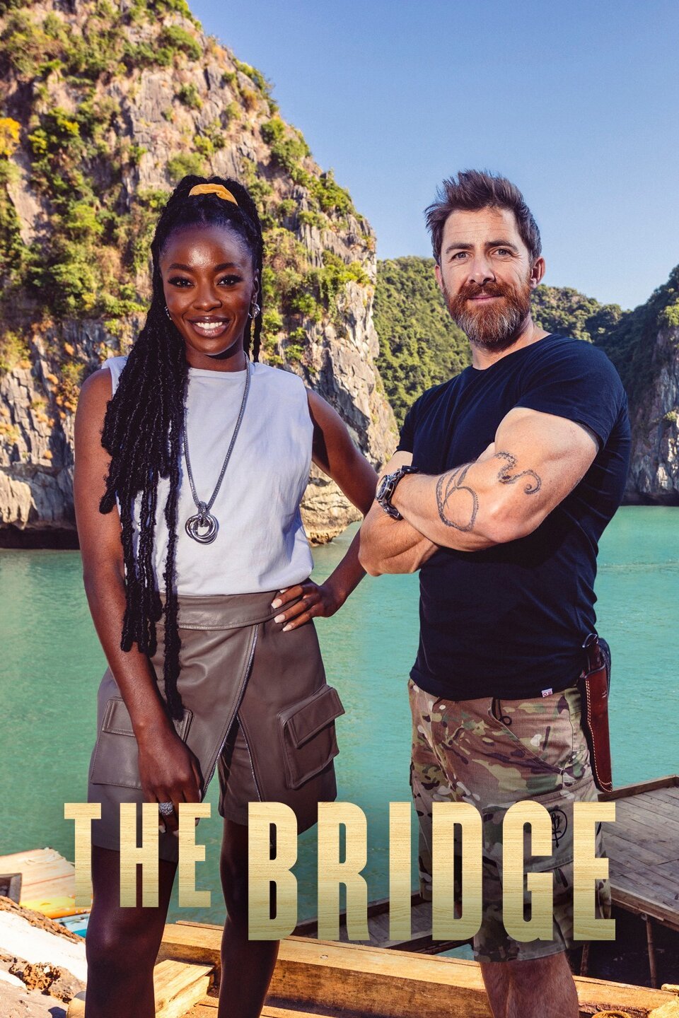 The Bridge - Rotten Tomatoes