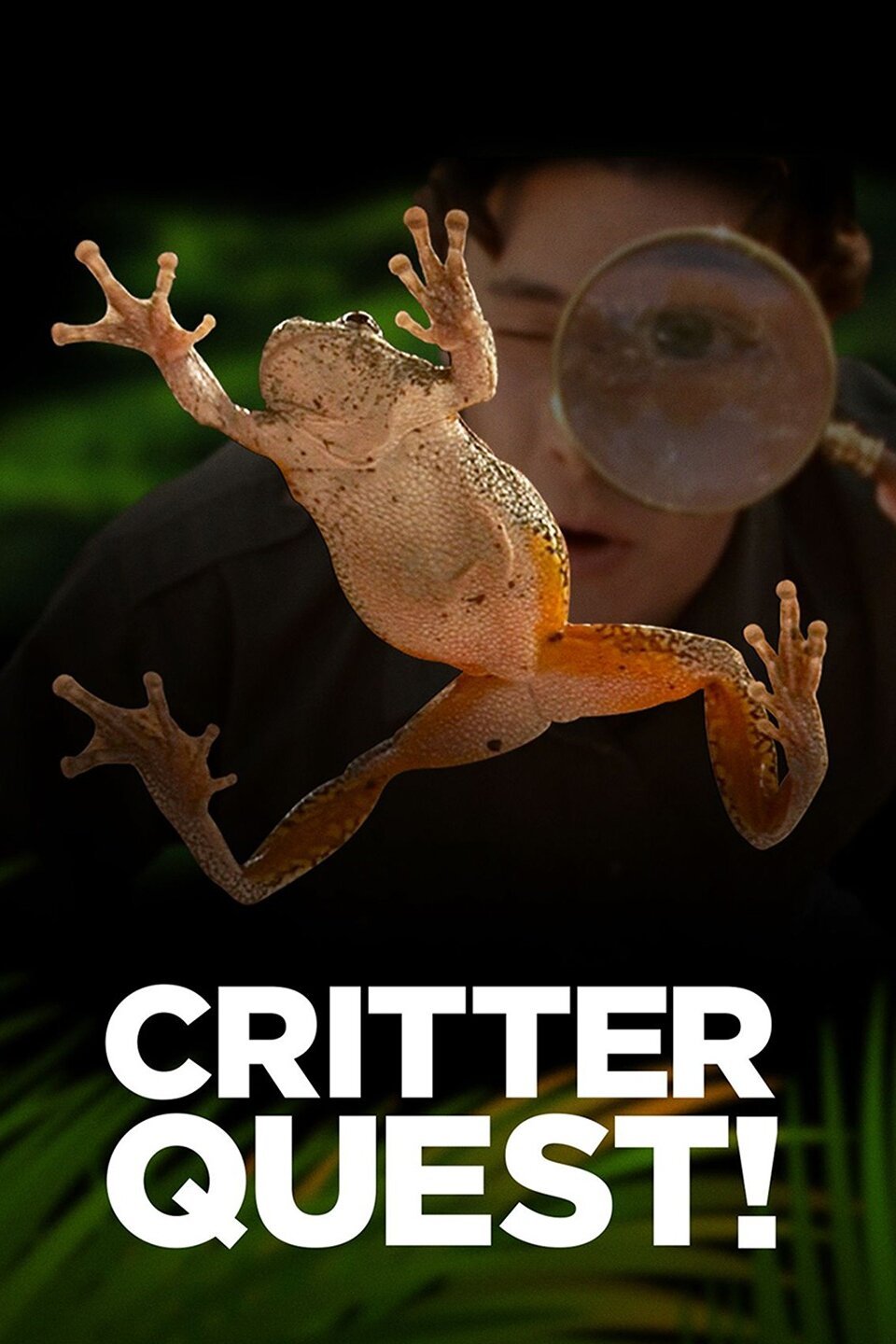 Critter Quest! - Rotten Tomatoes
