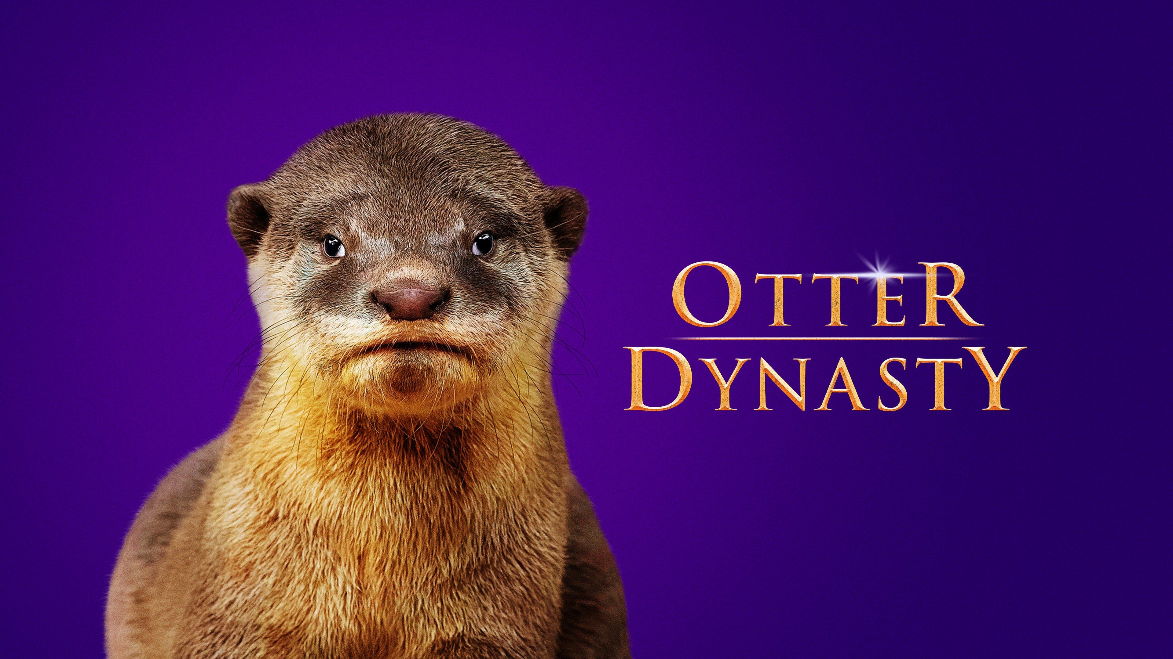 Otter Fight